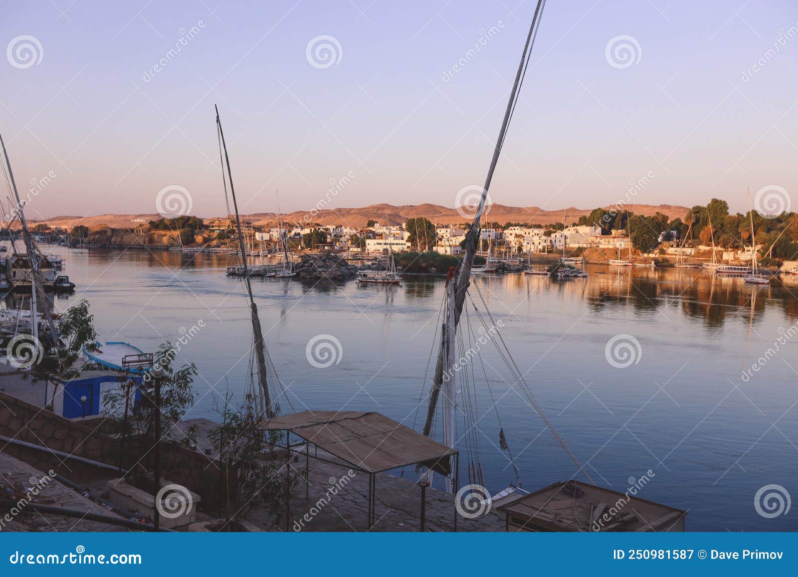 Sunset View To the Panoramic Aswan Cityscape with the Palm Trees Stock ...