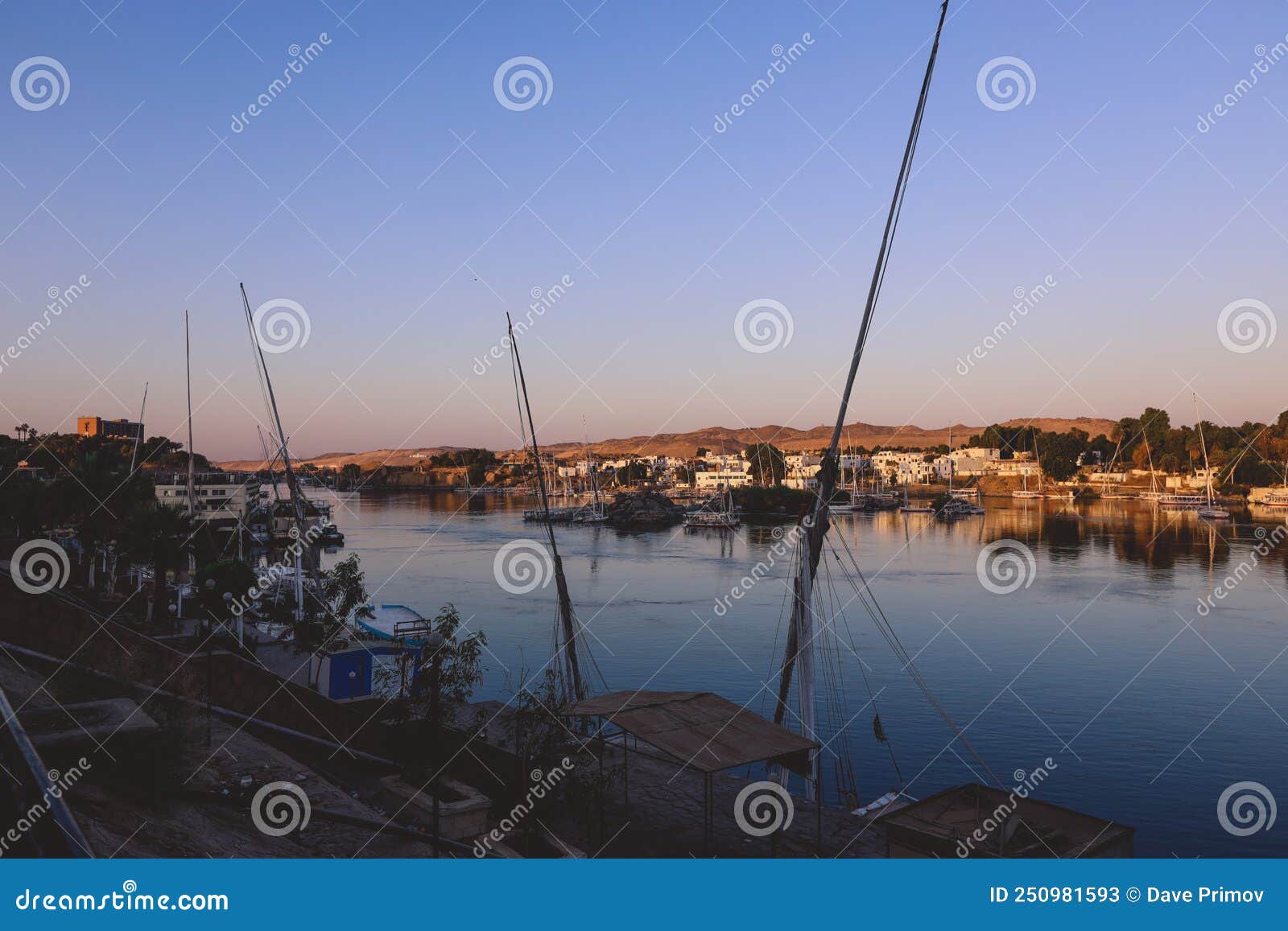 Sunset View To the Panoramic Aswan Cityscape with the Palm Trees Stock ...
