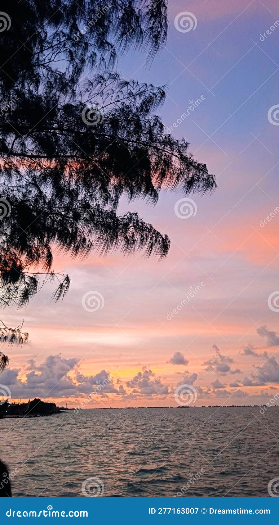 Sunset View and Trees on the Sea Stock Image - Image of view, afternoon ...