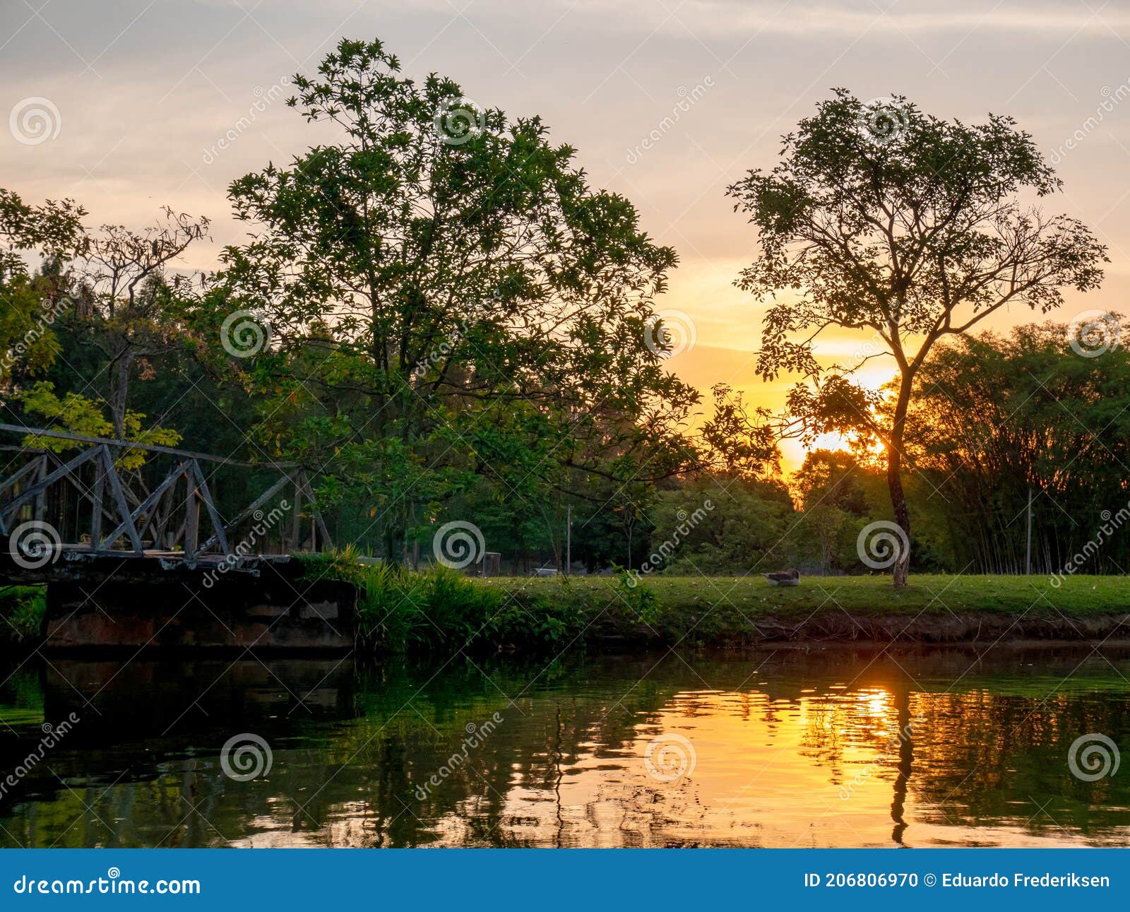 Sunset View with Trees and Sky Reflecting in the Lake Stock Photo ...