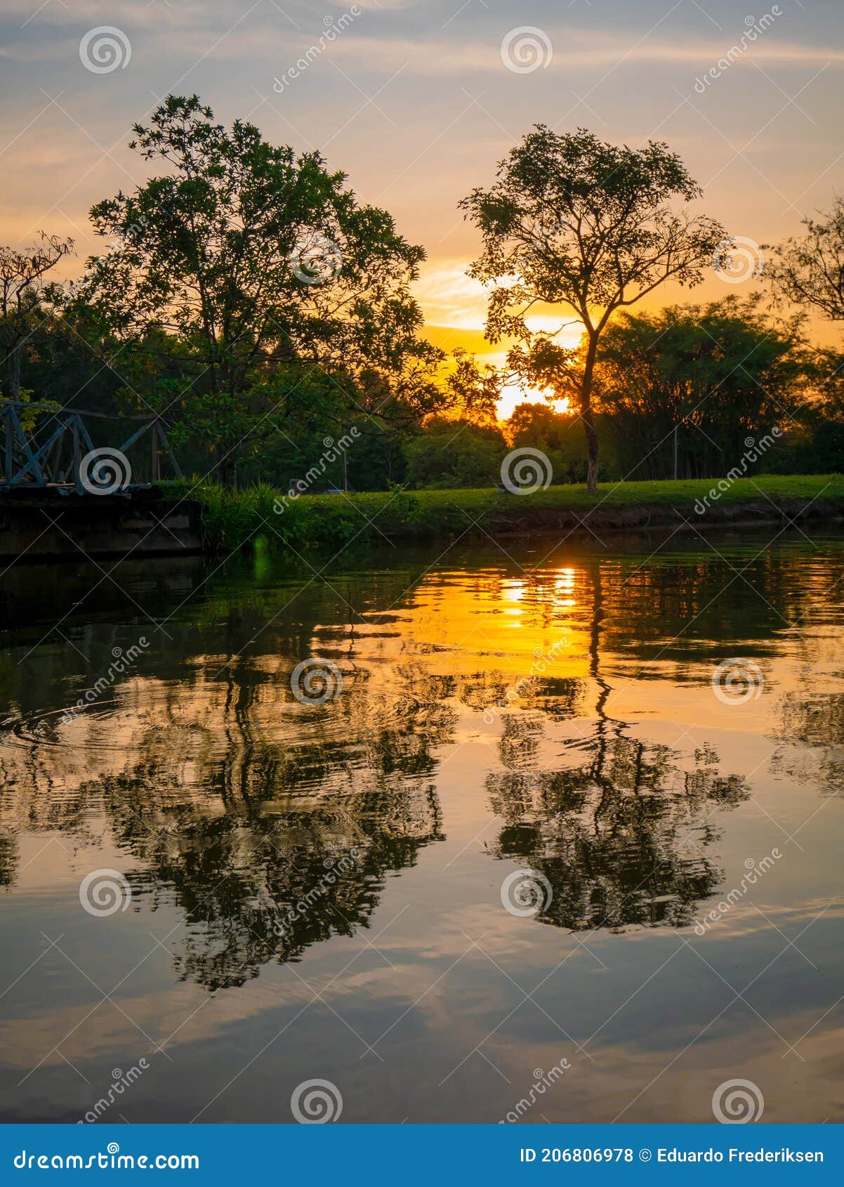Sunset View with Trees and Sky Reflecting in the Lake Stock Photo ...