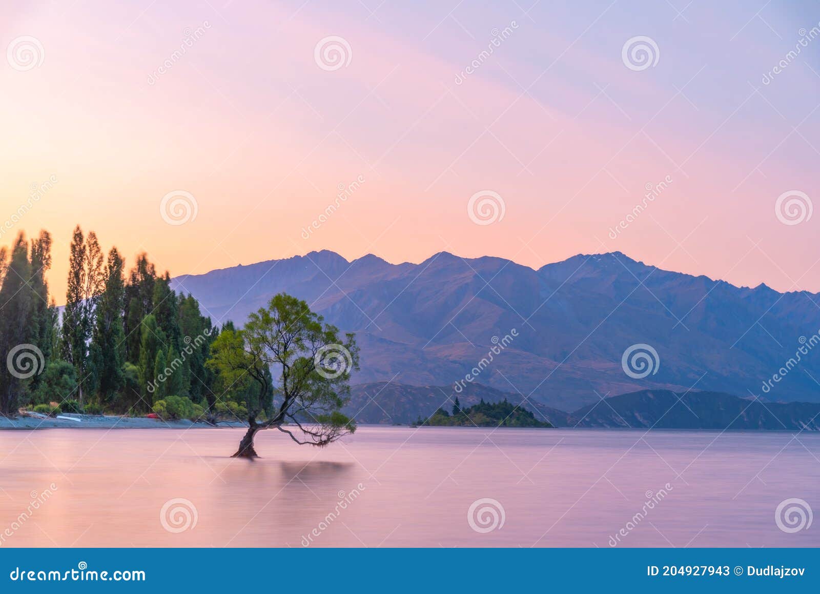 Sunset View of that Wanaka Tree in New Zealand Stock Image - Image of ...