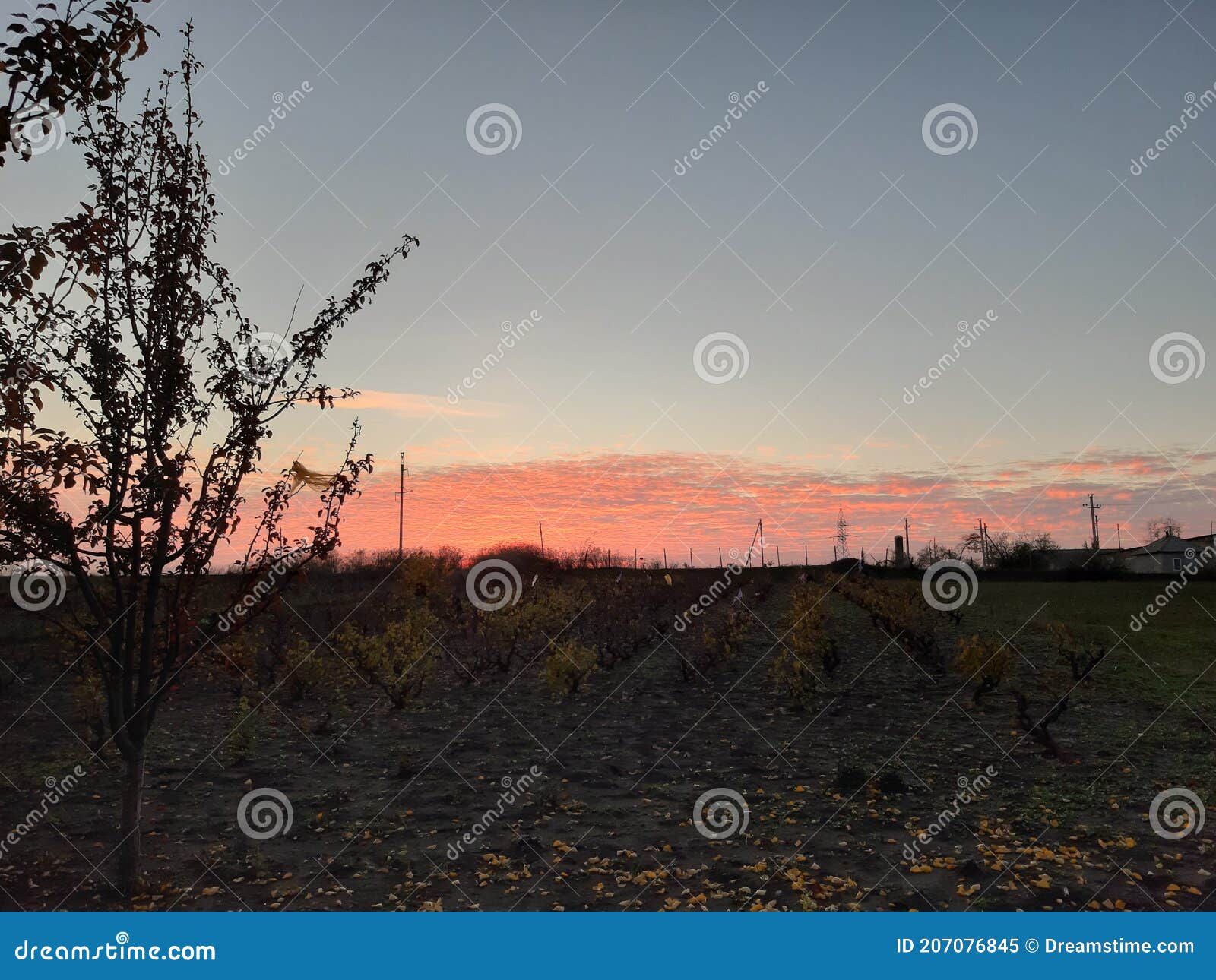 Sunset in village stock image. Image of hill, village - 207076845