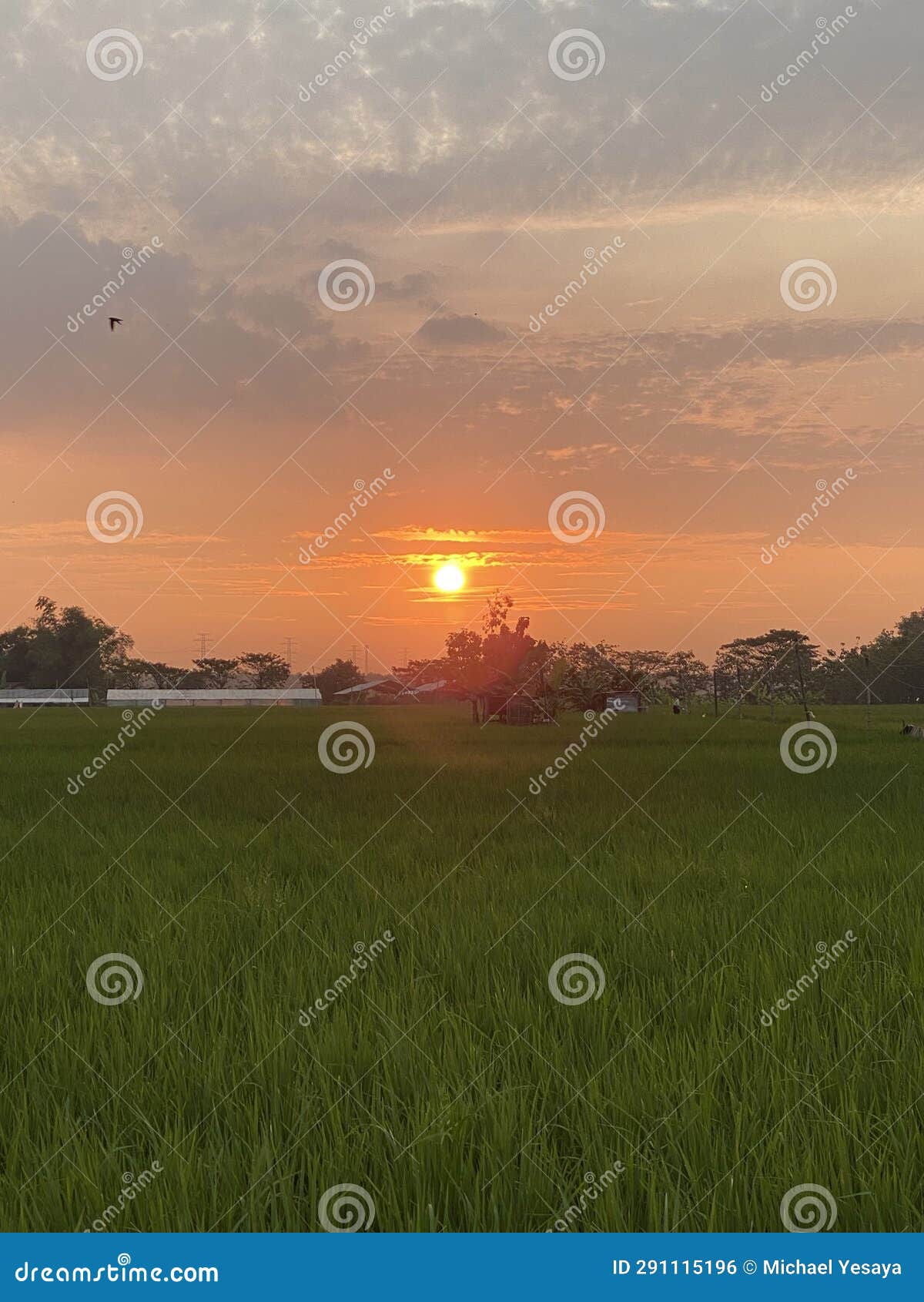 Sunset in a village stock photo. Image of horizon, field - 291115196
