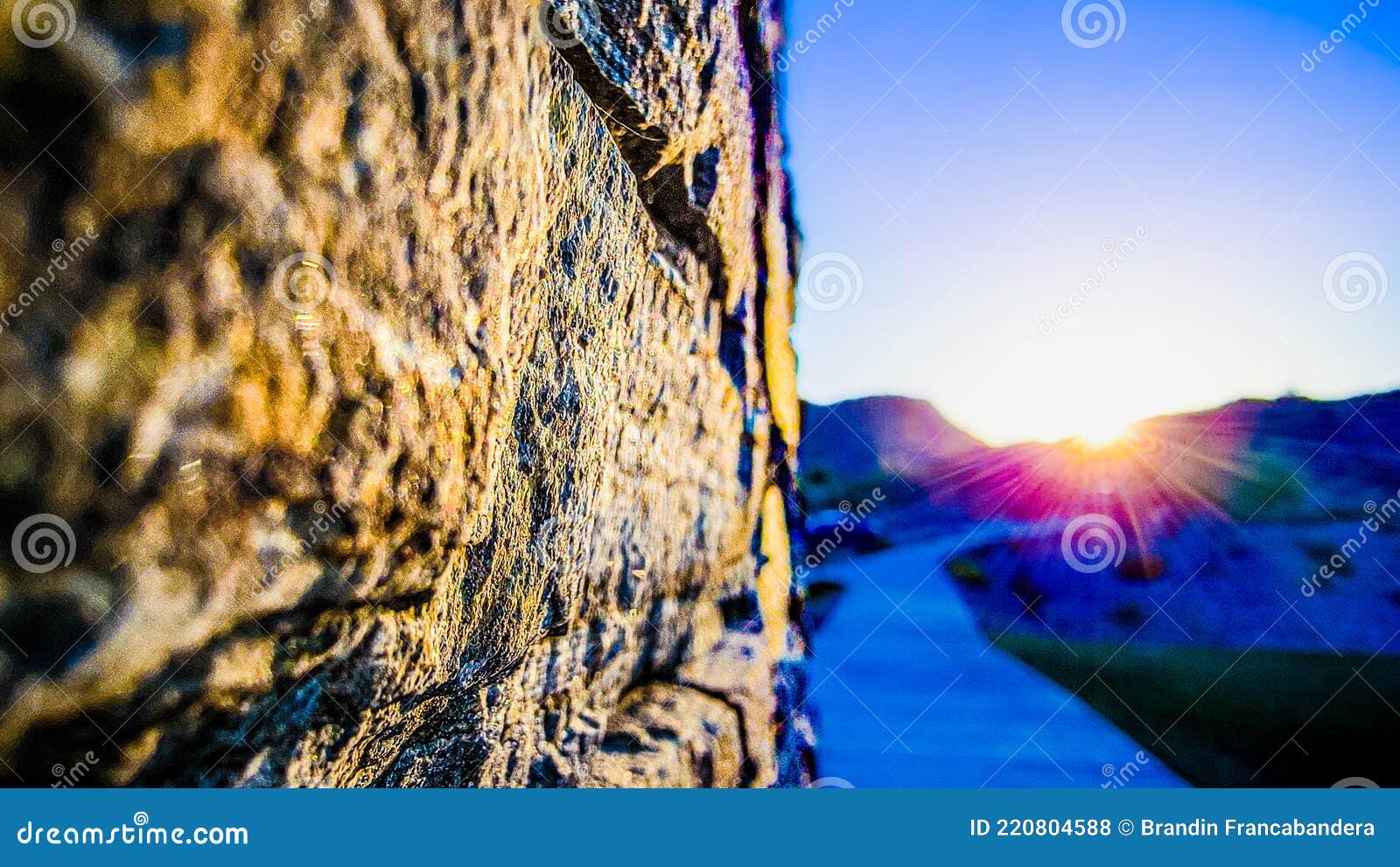 Sunset on a wall stock photo. Image of tree, soil, painting - 220804588