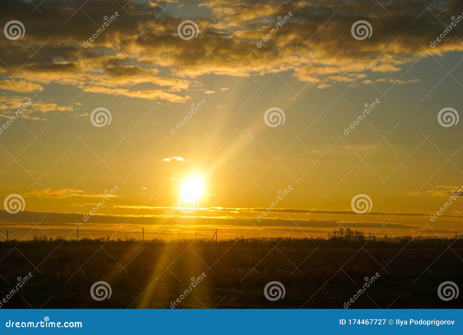Sunset on a Warm Evening in the Field, Summer Landscape Stock Image ...