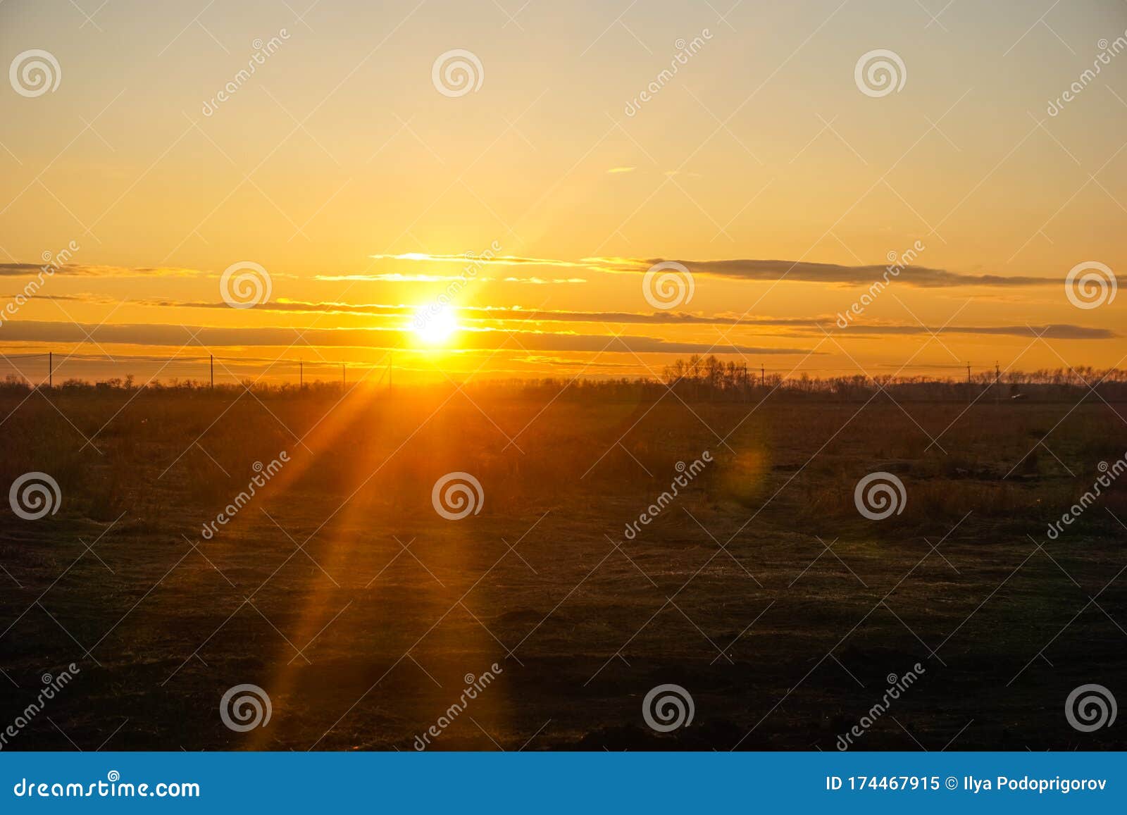 Sunset on a Warm Evening in the Field, Summer Landscape Stock Image ...