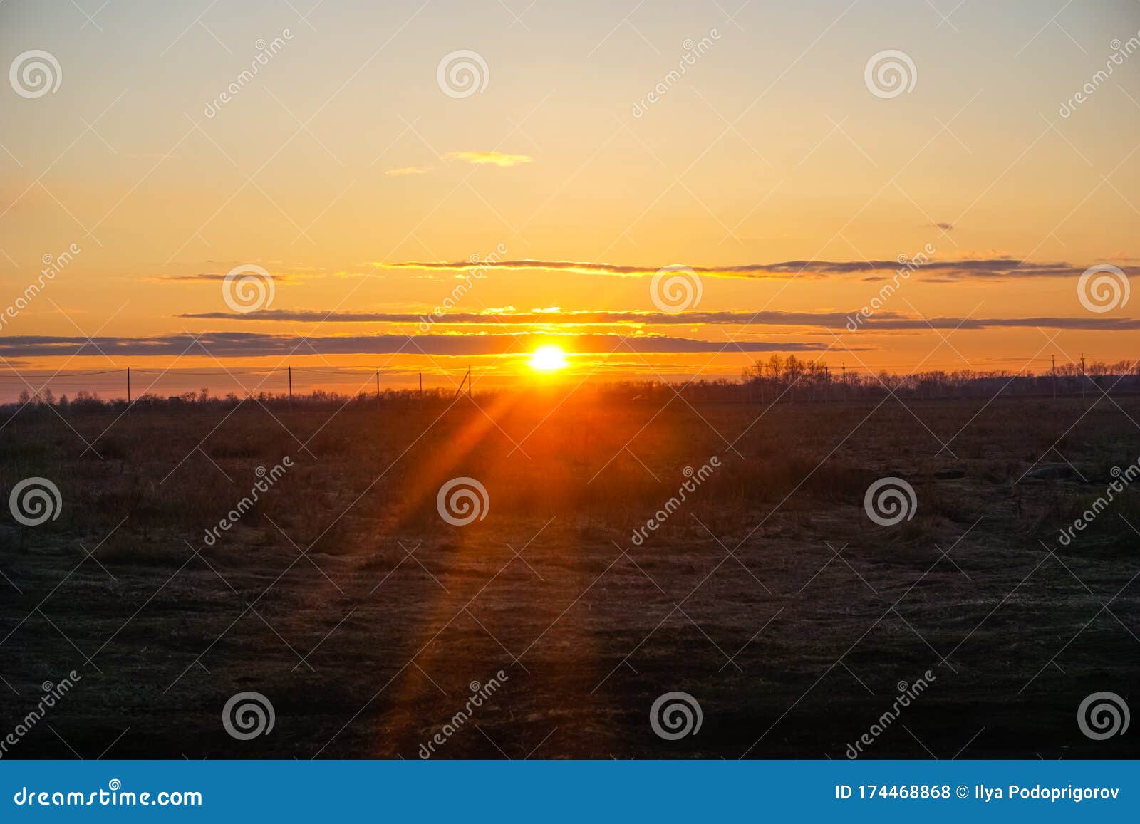 Sunset on a Warm Evening in the Field, Summer Landscape Stock Photo ...