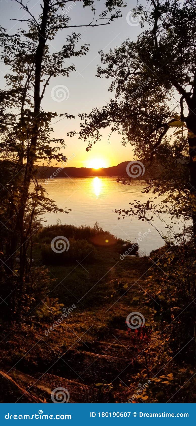 Sunset water trees stock image. Image of reflection - 180190607