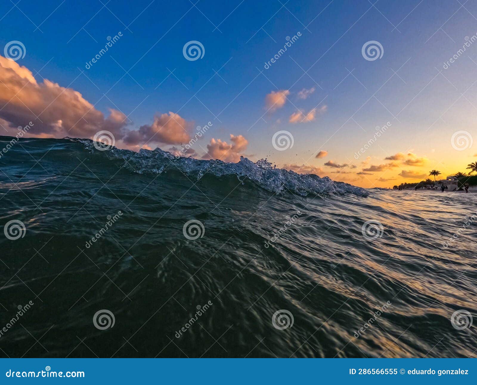Sunset Wave in Tulum Blue Sky Stock Image - Image of tulum, wave: 286566555