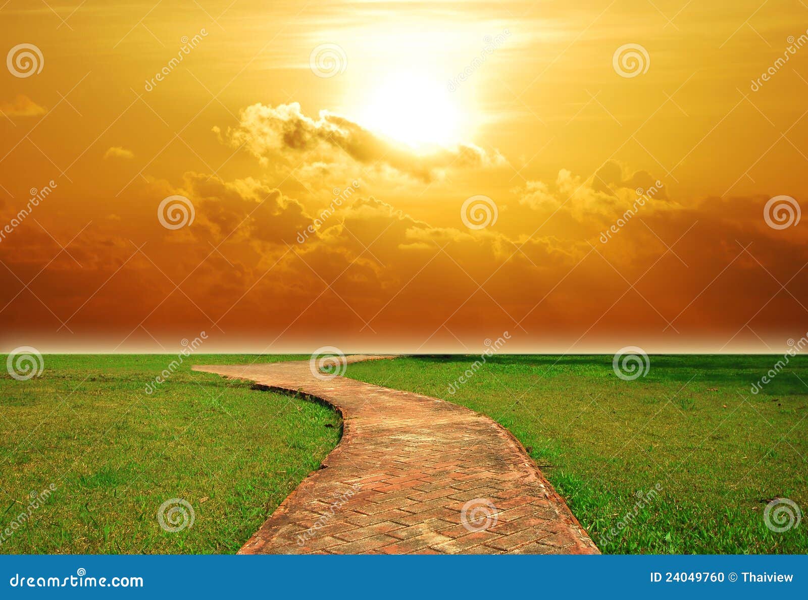 Sunset way background stock photo. Image of field, plant - 24049760