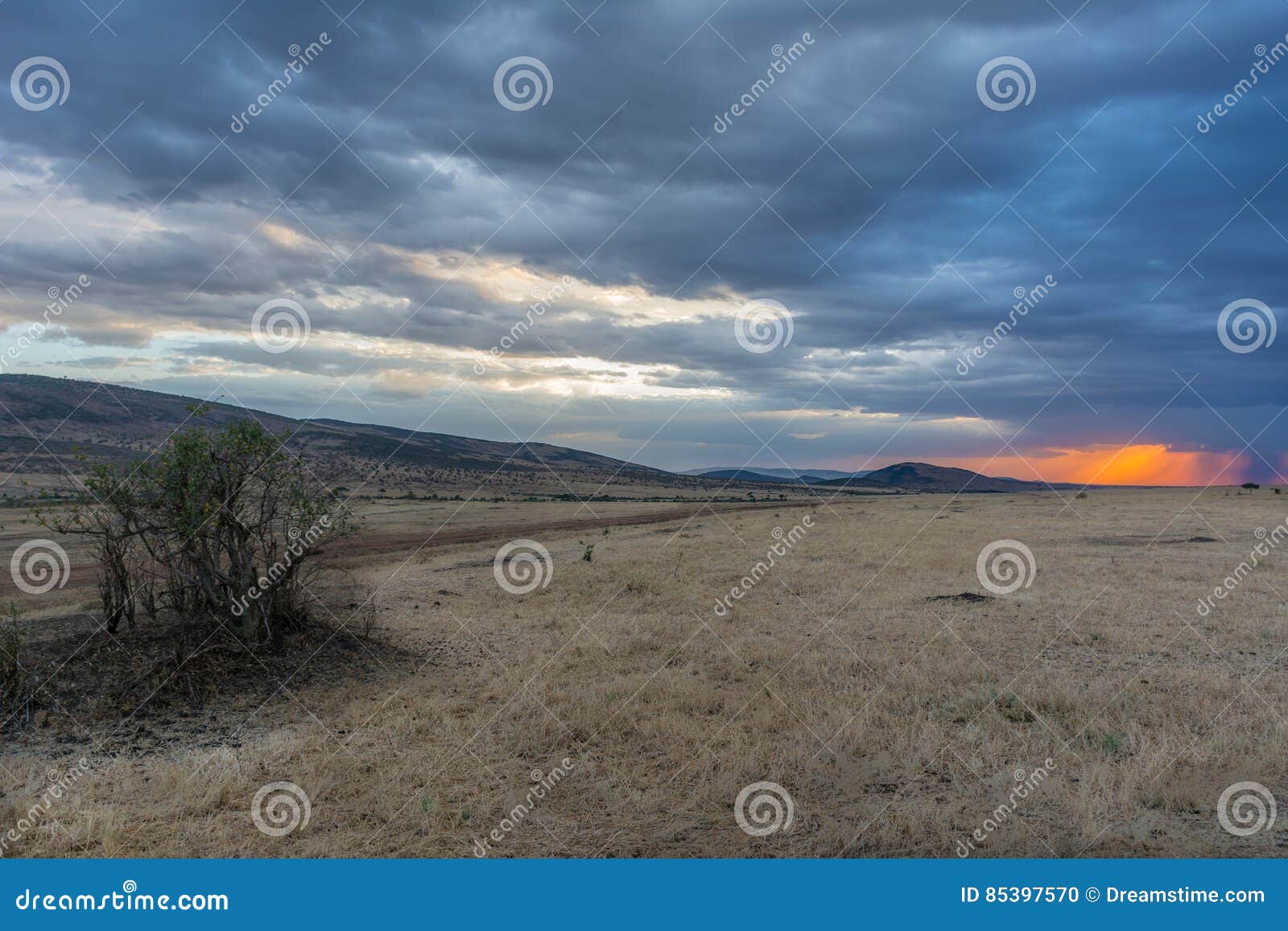 Sunset in the wilderness stock photo. Image of masai - 85397570