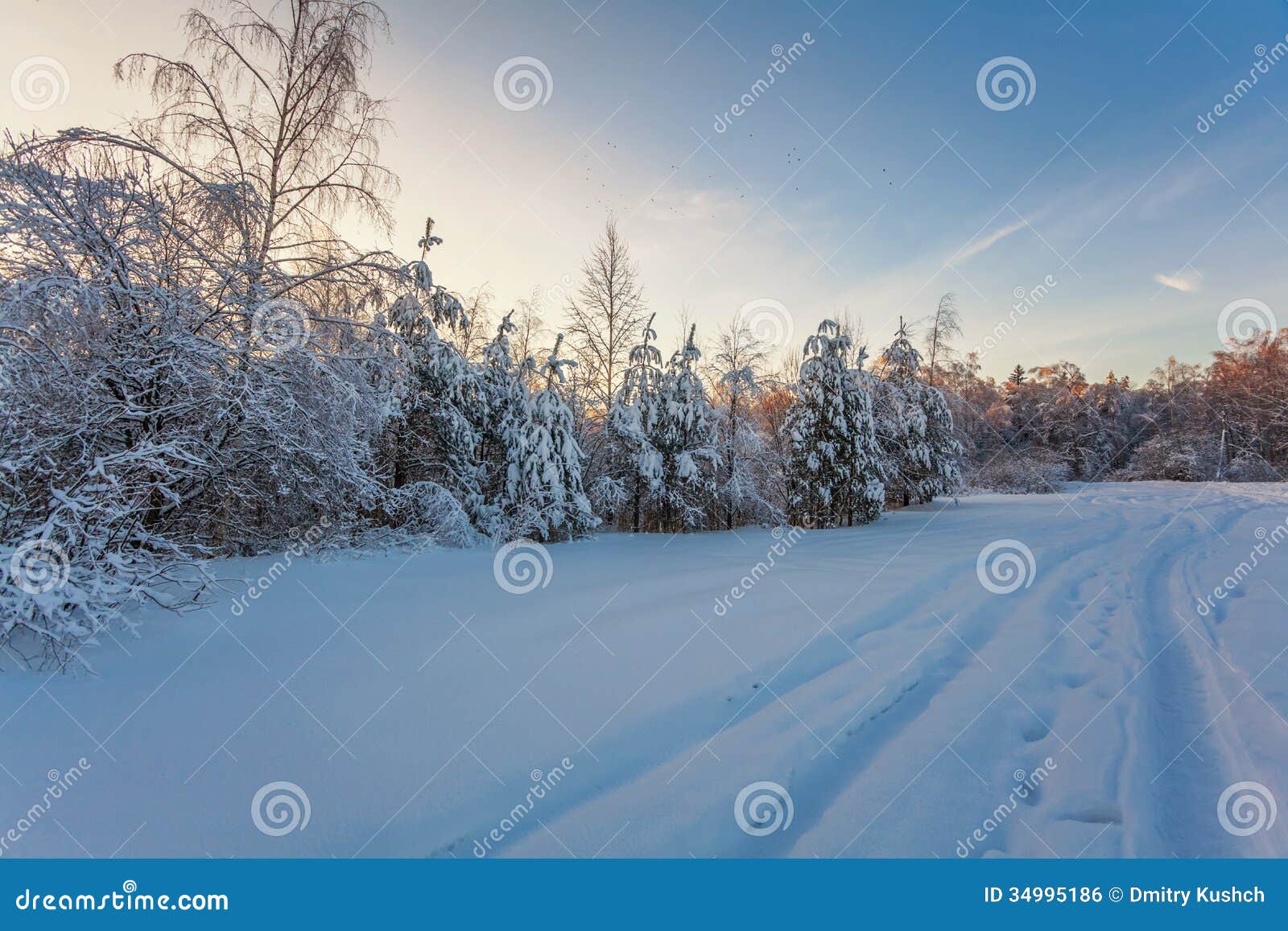 Sunset in winter field stock photo. Image of natural - 34995186