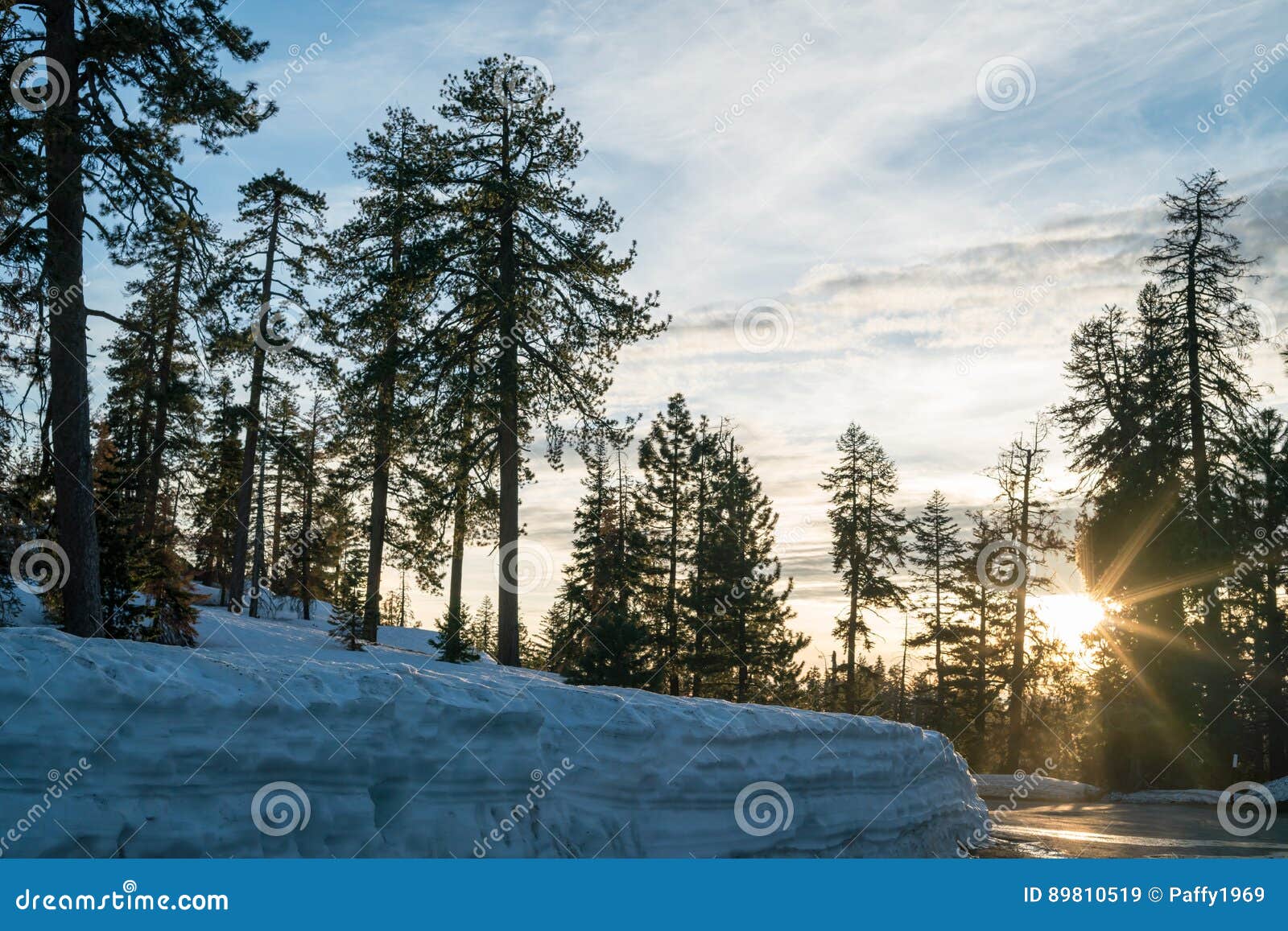 Sunset in winter forest. stock image. Image of forest - 89810519
