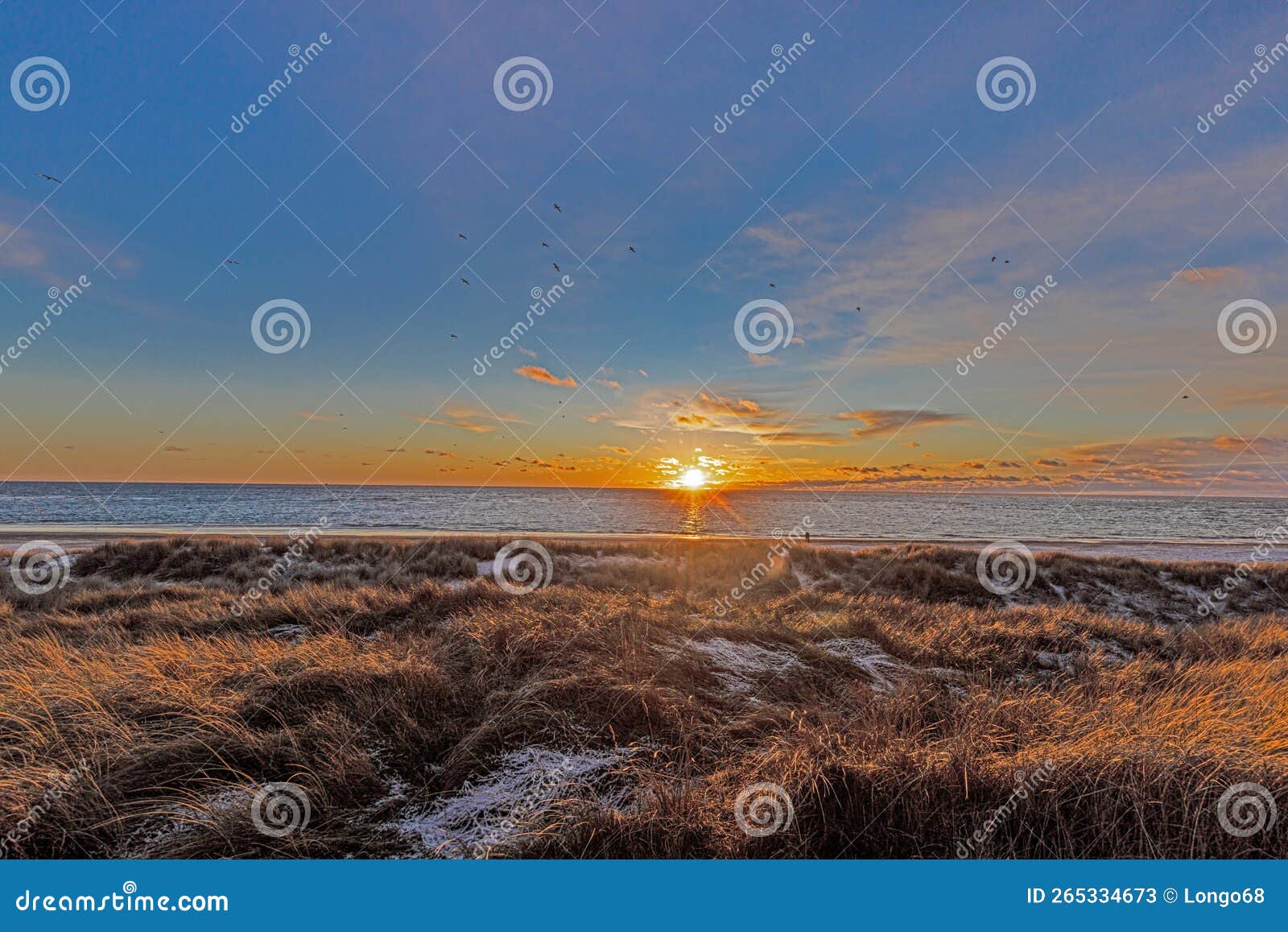 Sunset on Winter Beach of Balvand in Denmark Stock Image - Image of ...