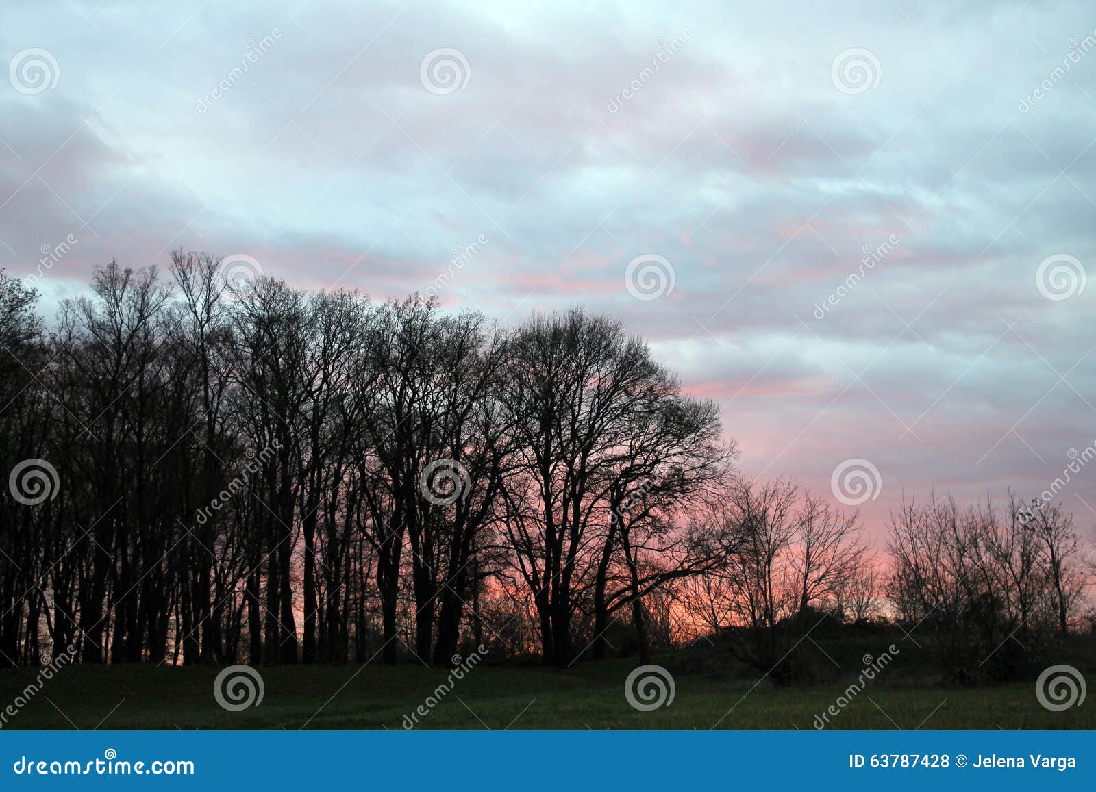 Sunset in the woods stock photo. Image of countryside - 63787428