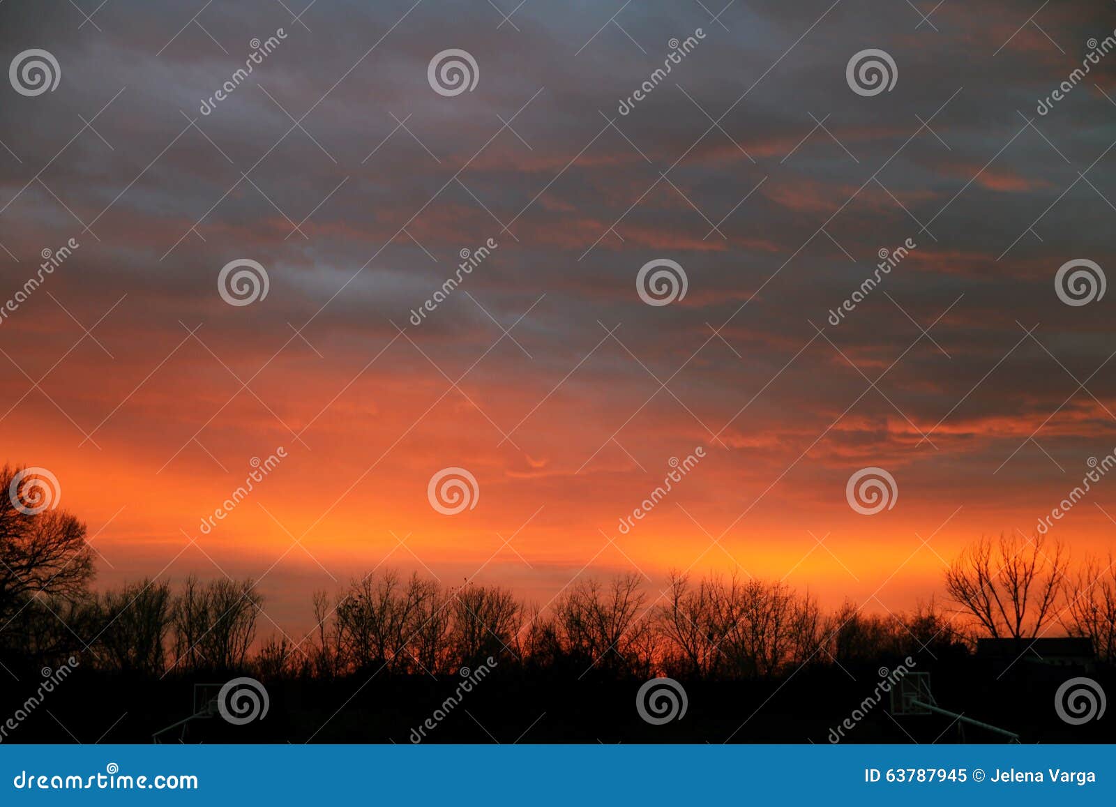 Sunset in the woods stock image. Image of light, park - 63787945