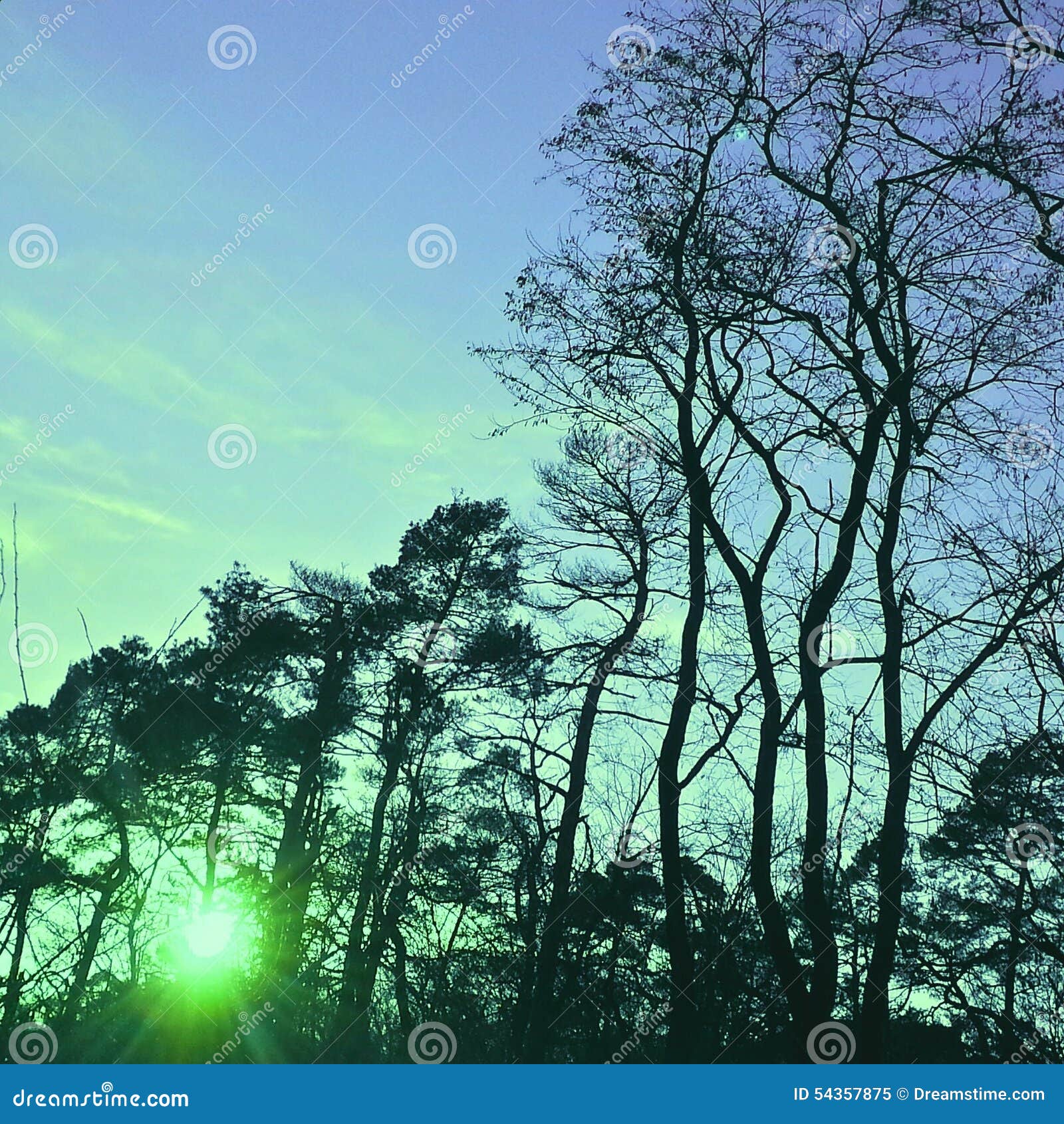 Sunset through woods stock image. Image of trees, colourful - 54357875