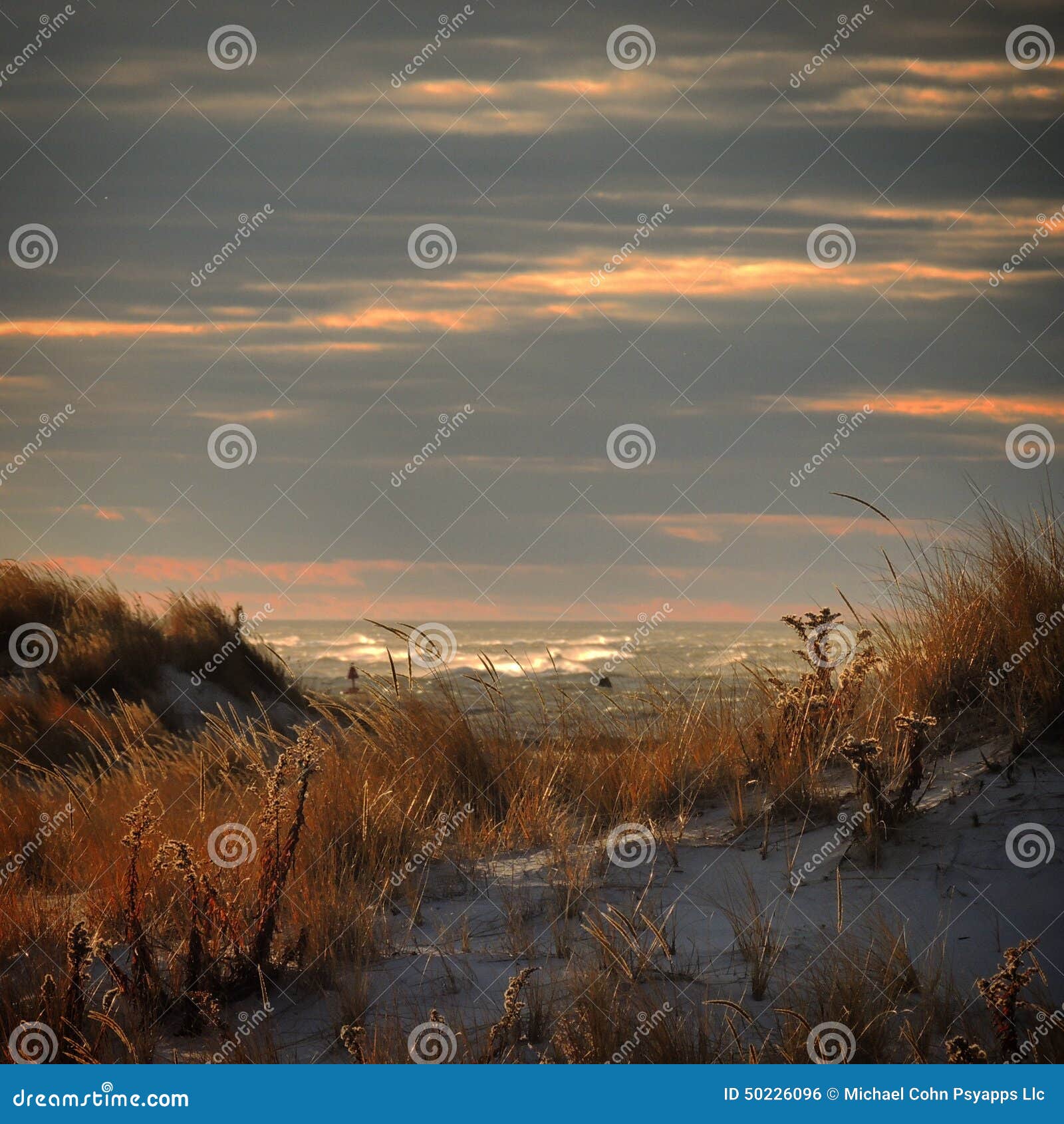 SunsetBeachscene stock photo. Image of cooper, early - 50226096