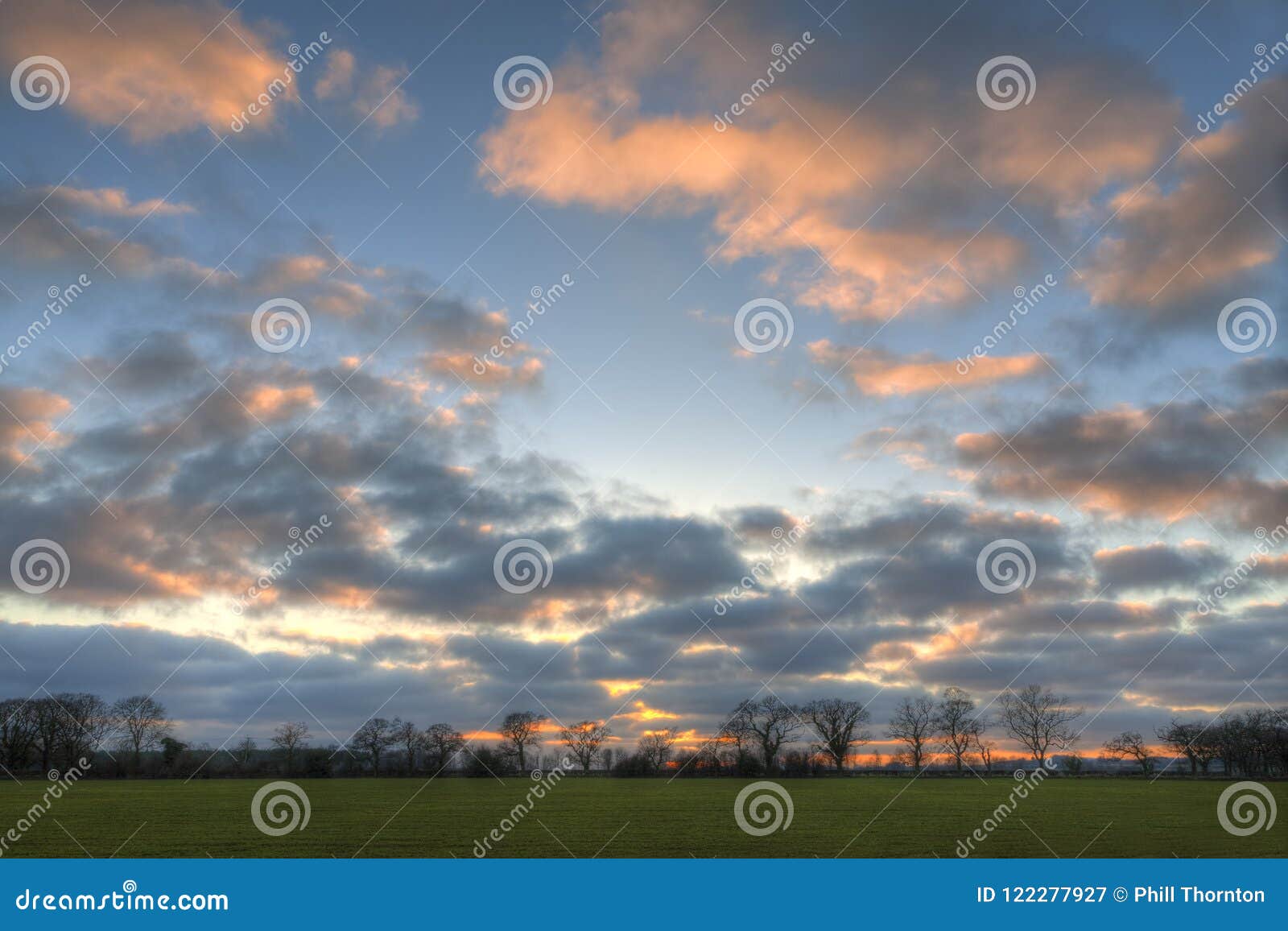 Sunseting Behind the Trees of Farm Land Stock Image - Image of cloud ...