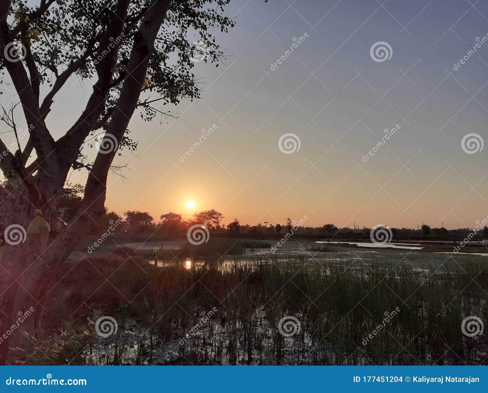 Sunsets in Pond Evening Landscape Nature Served Better Vision. Stock ...