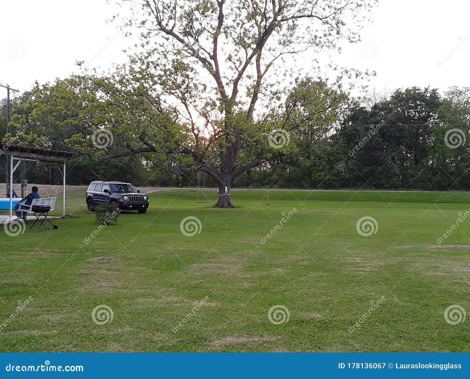 Sunsetting Going Behind Trees Capturing the Shade of Orange Stock Image ...
