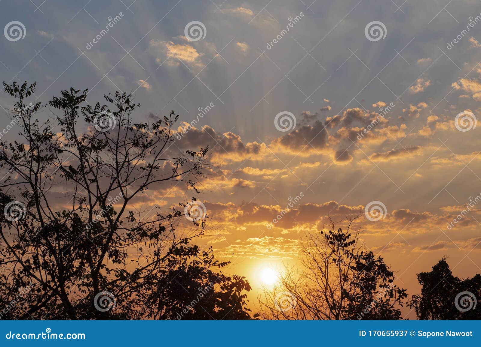 Sunsetting with Golden Light Bathing Fluffy White Clounds Stock Image ...