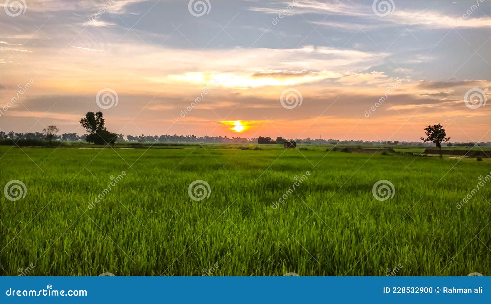 A sunsetting view. stock photo. Image of morning, view - 228532900