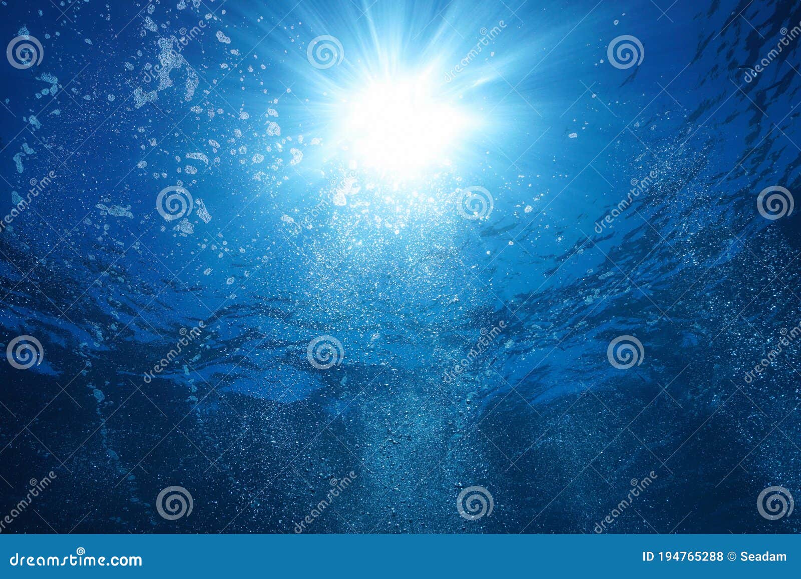 Sunshine with Air Bubbles Underwater in the Ocean Stock Photo - Image ...