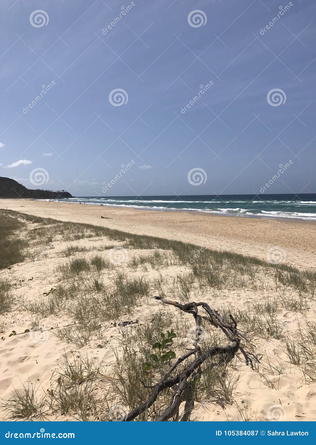 Sunshine Beach stock image. Image of beach, midday, sunshine - 105384087
