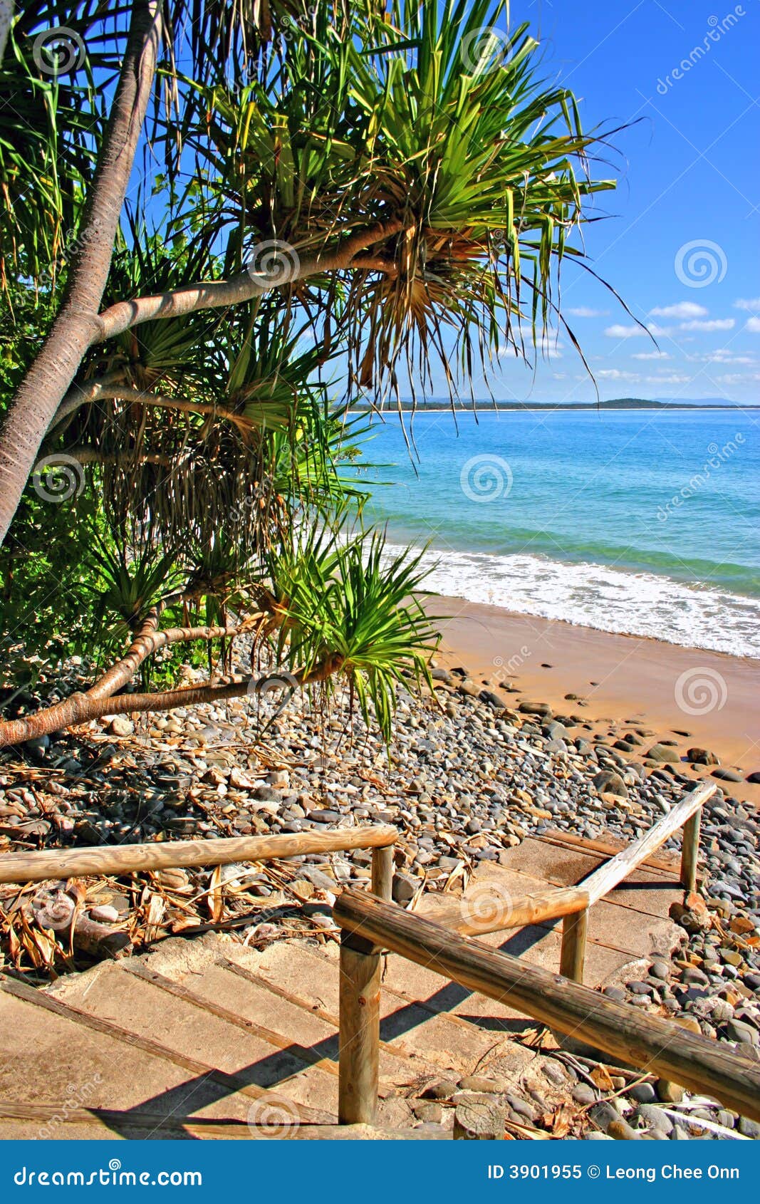 Sunshine Coast, Australia stock image. Image of noosa - 3901955