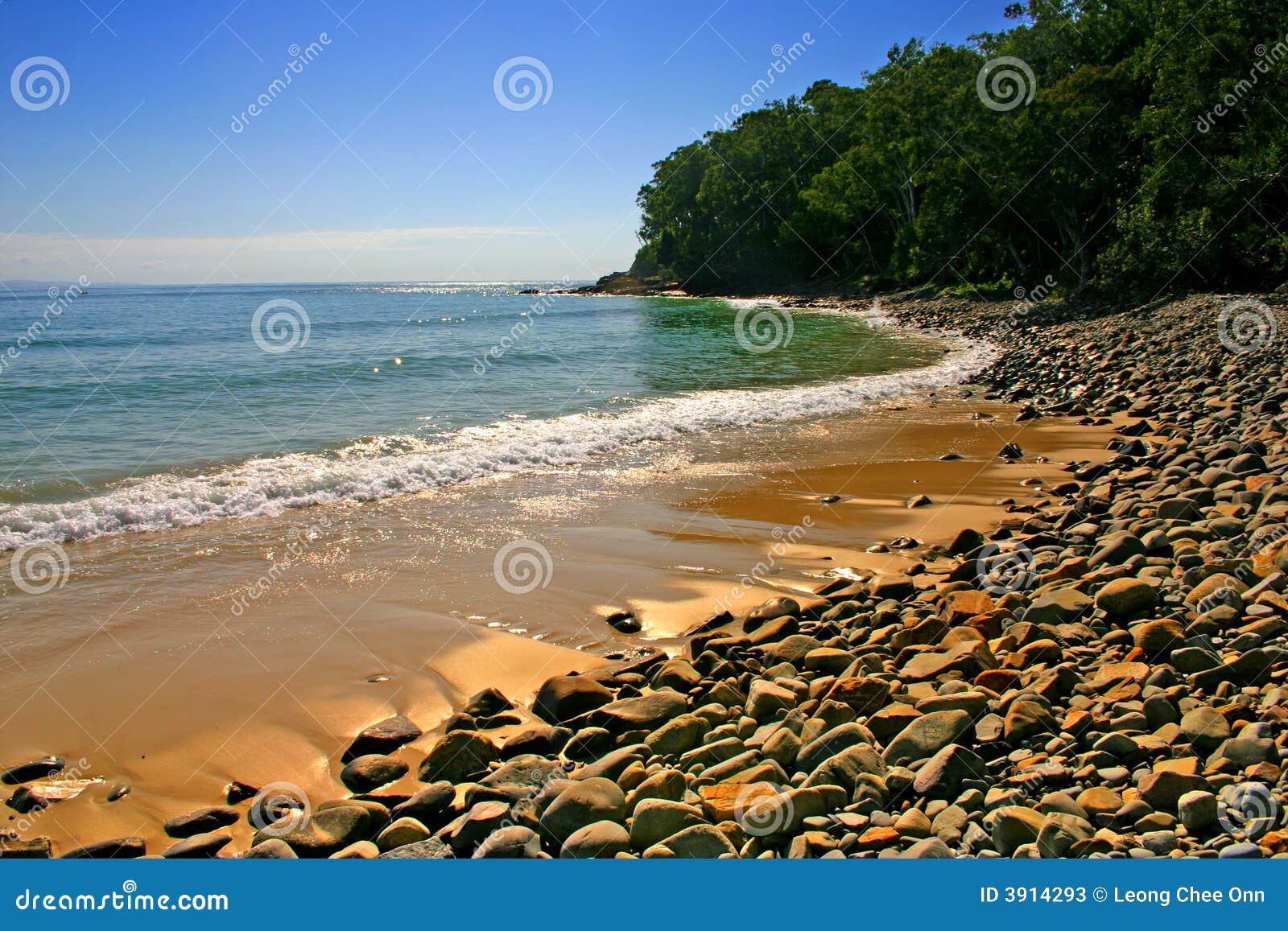 Sunshine Coast, Australia stock image. Image of rise, gold - 3914293