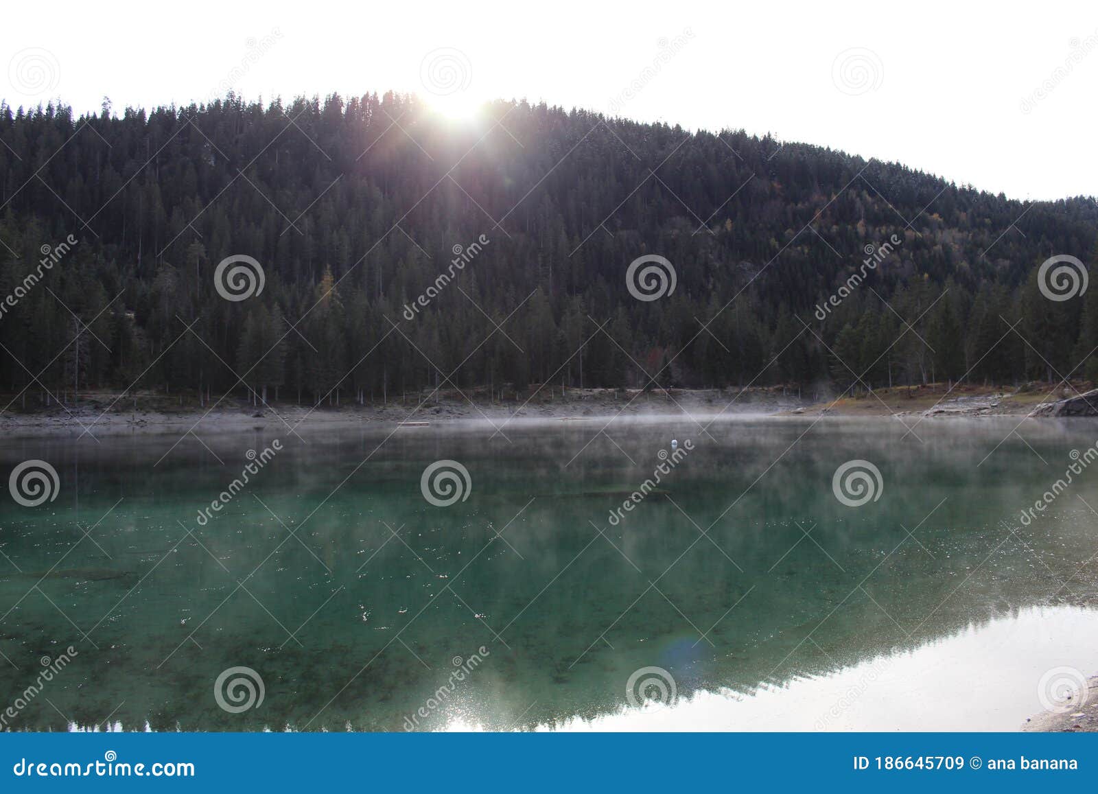 Sunshine on a cold day stock image. Image of morning - 186645709