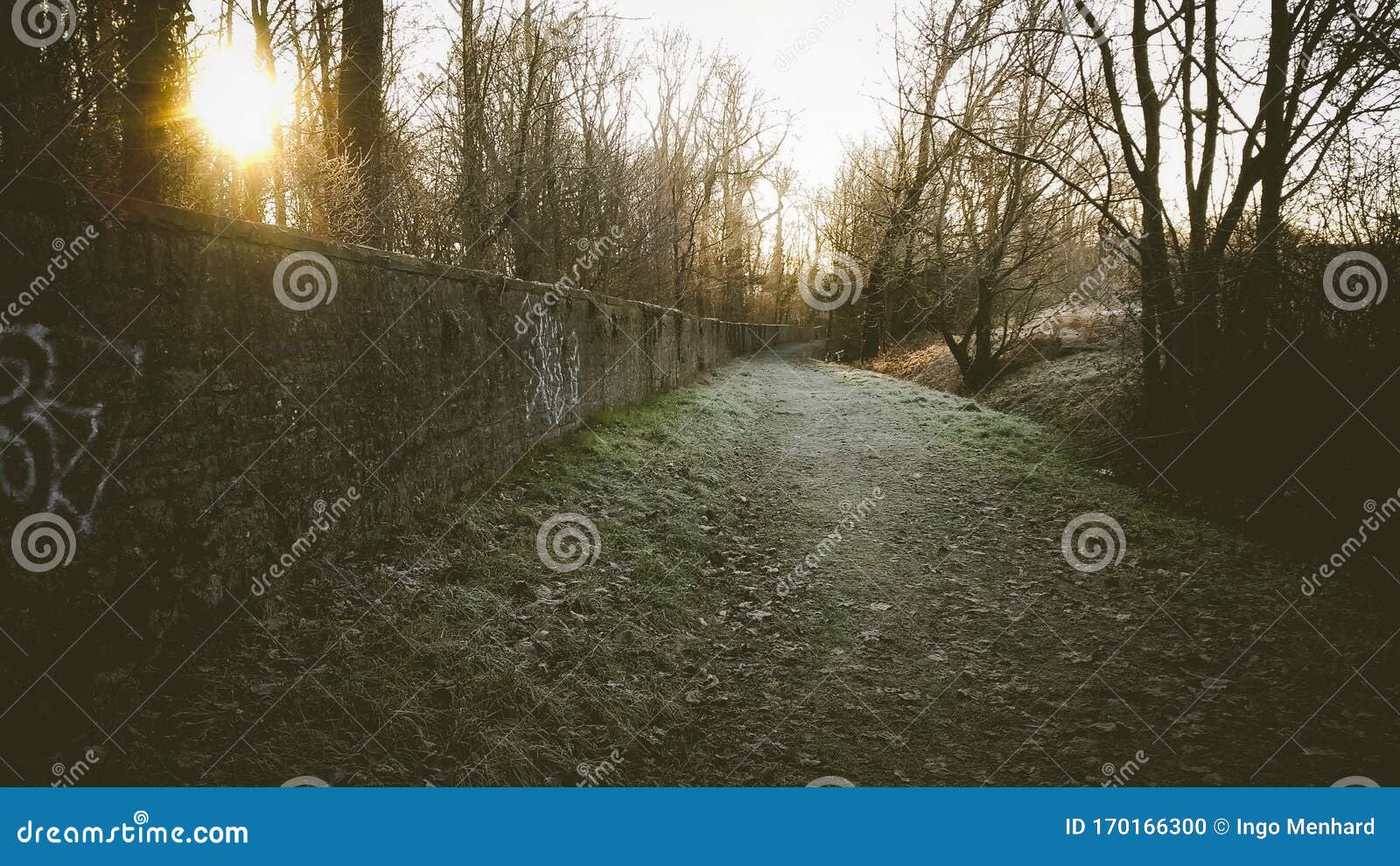 Sunshine on a dark path stock photo. Image of direction - 170166300