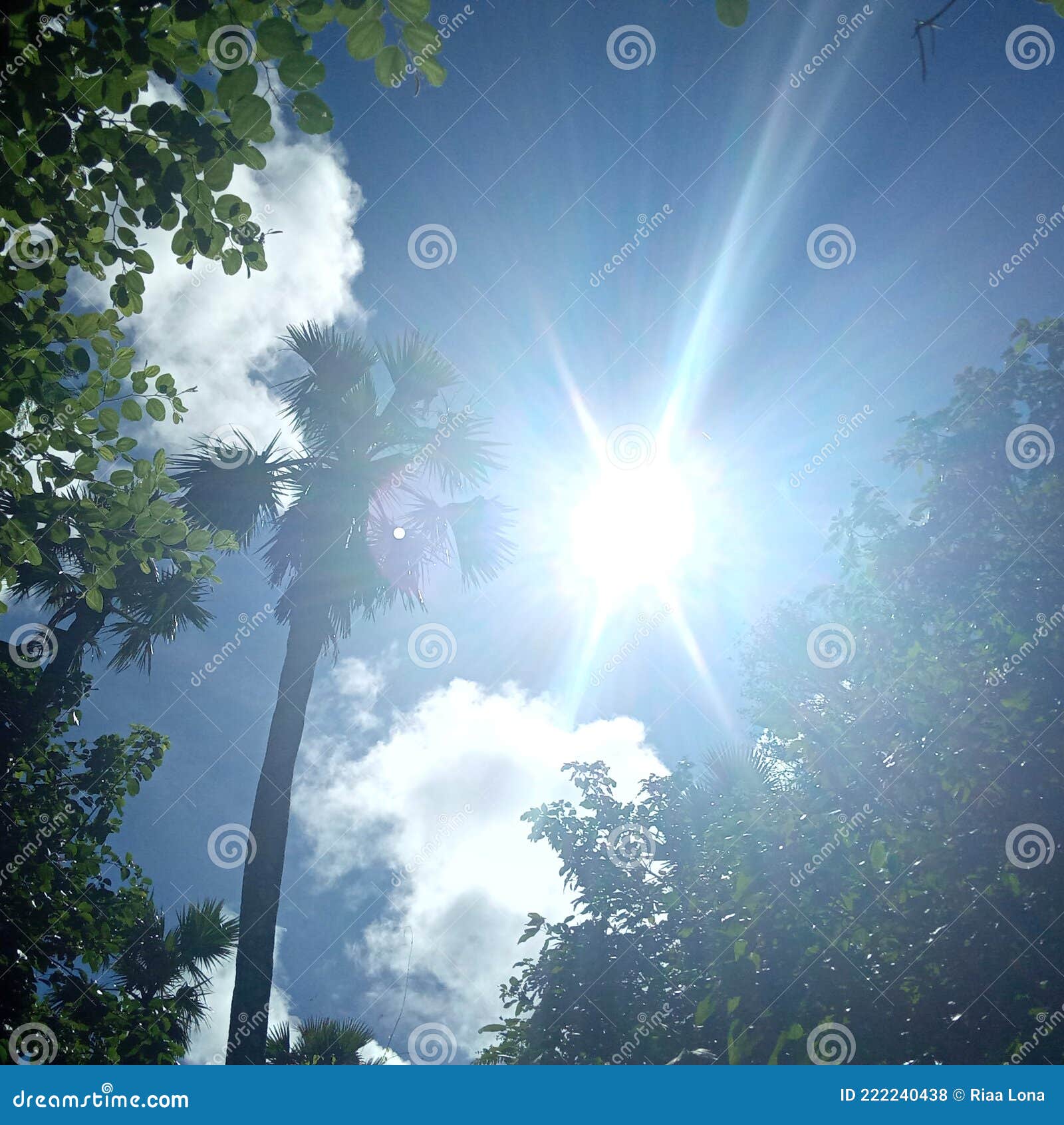 Sunshine during the day stock photo. Image of cloud - 222240438