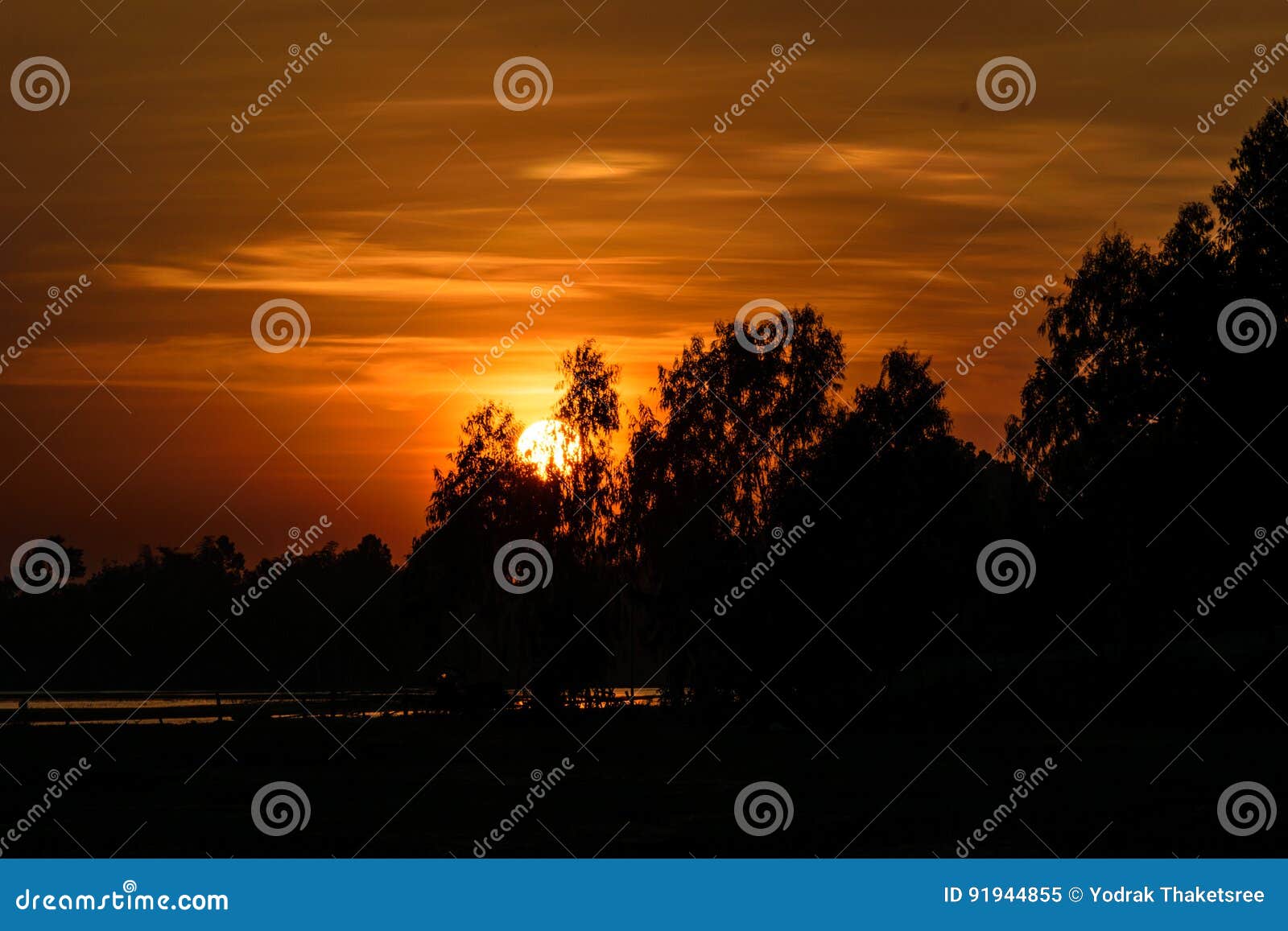 Sunshine in the evening stock image. Image of paradise - 91944855