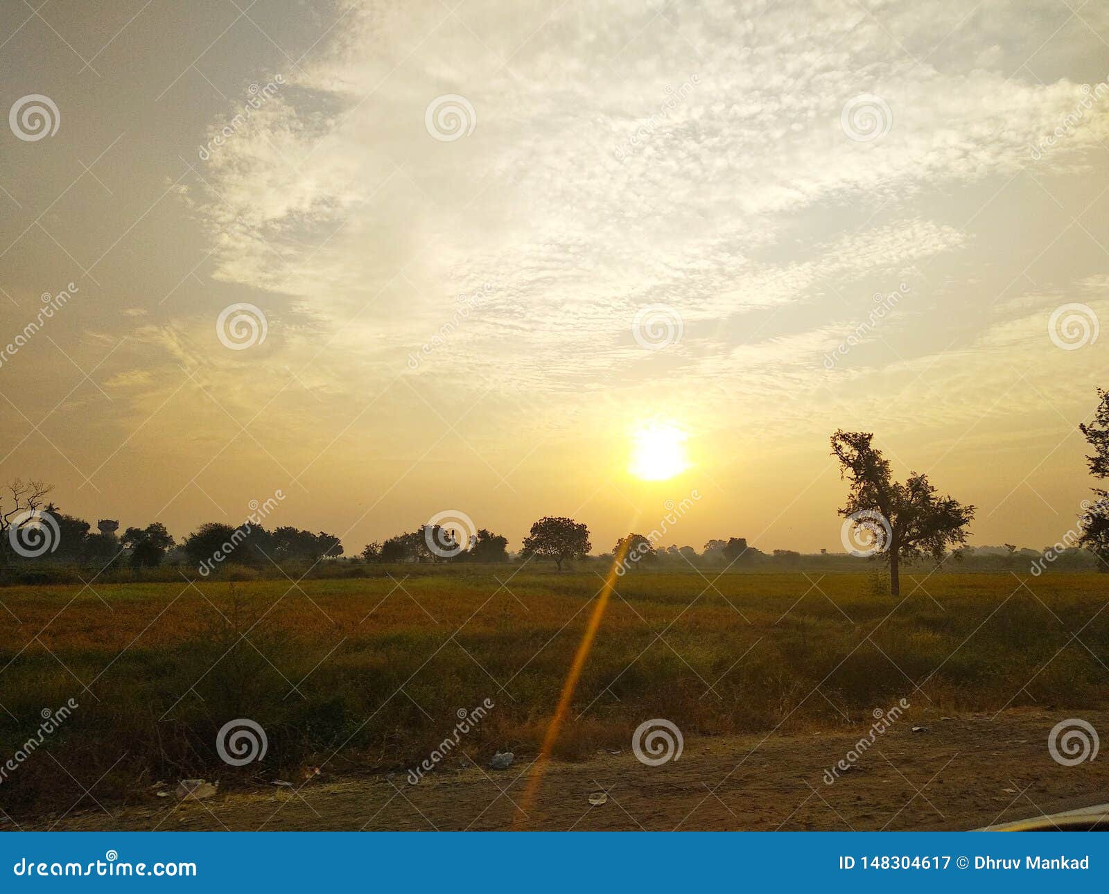 Sunshine on the field stock image. Image of light, shing - 148304617