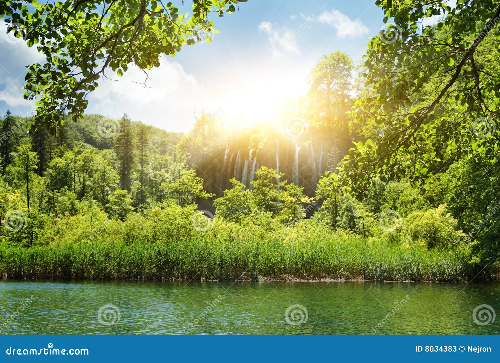 Sunshine in a forest stock image. Image of river, scenic - 8034383