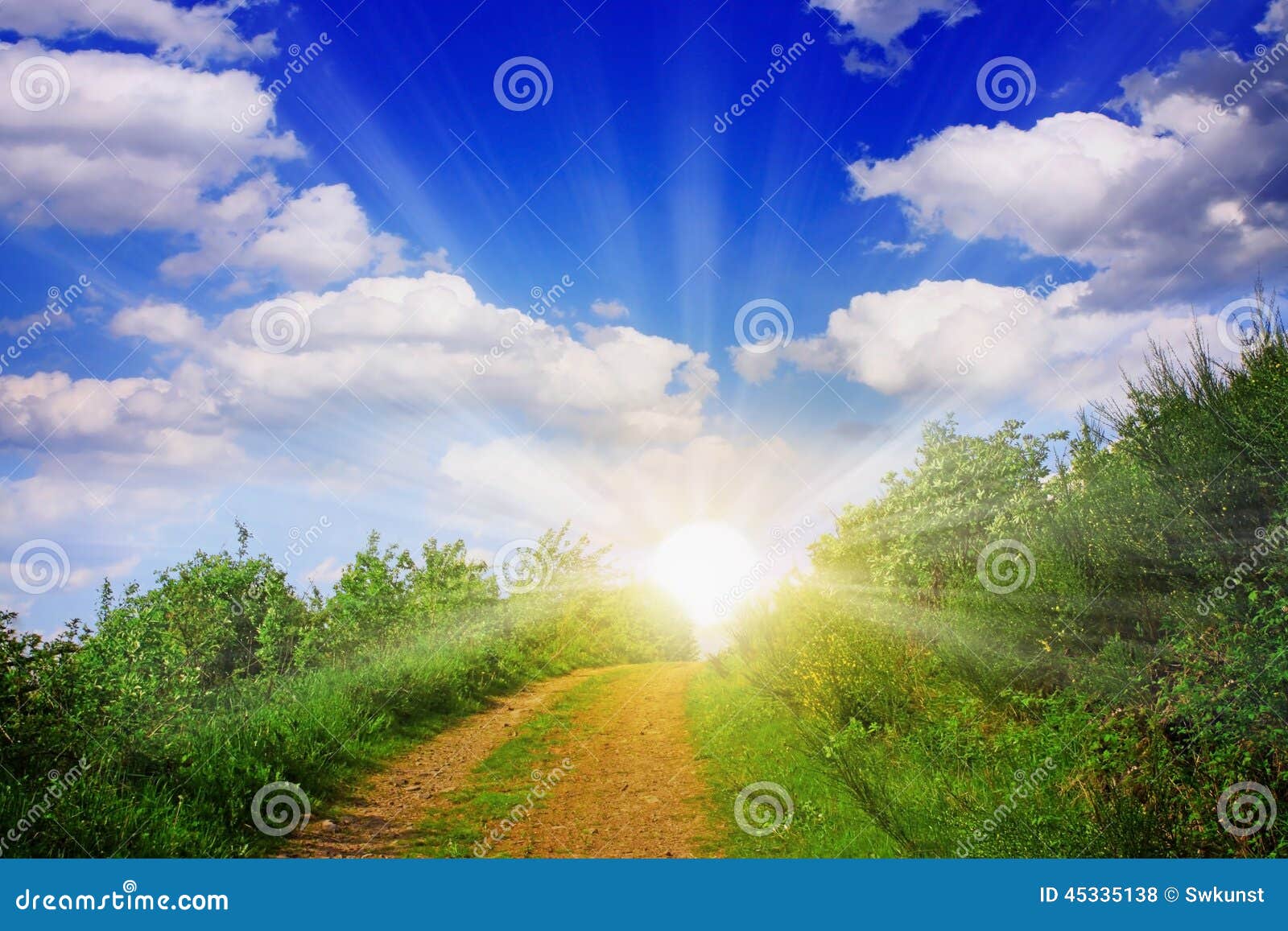Sunshine in the forest. stock photo. Image of rural, path - 45335138