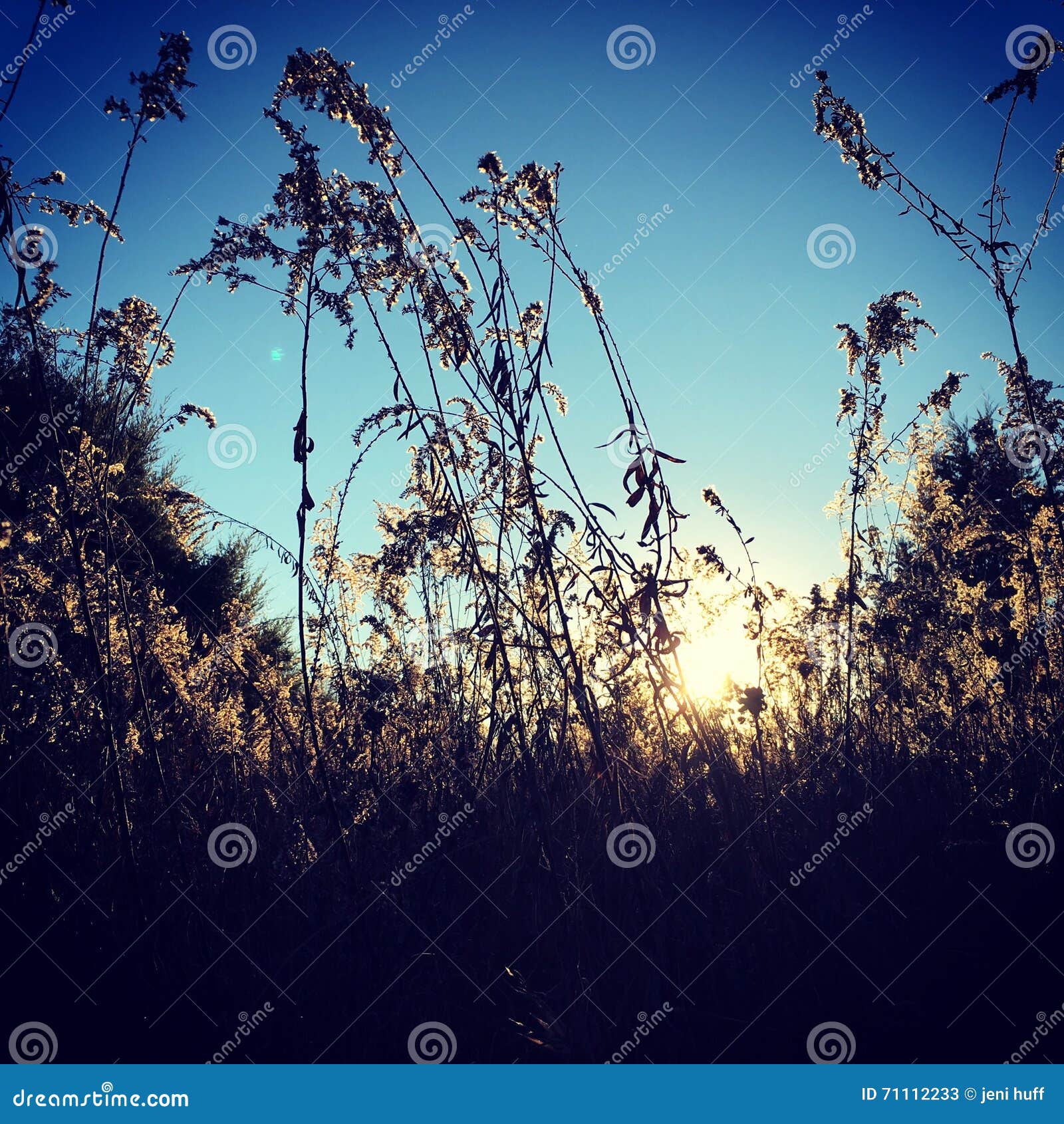 Sunshine through the hay stock image. Image of rays, kentucky - 71112233