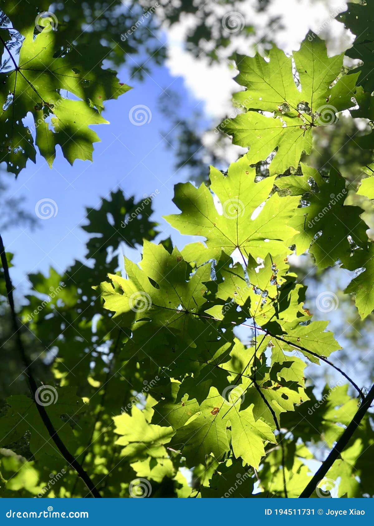 Sunshine & hope stock image. Image of sunshine, sunny - 194511731