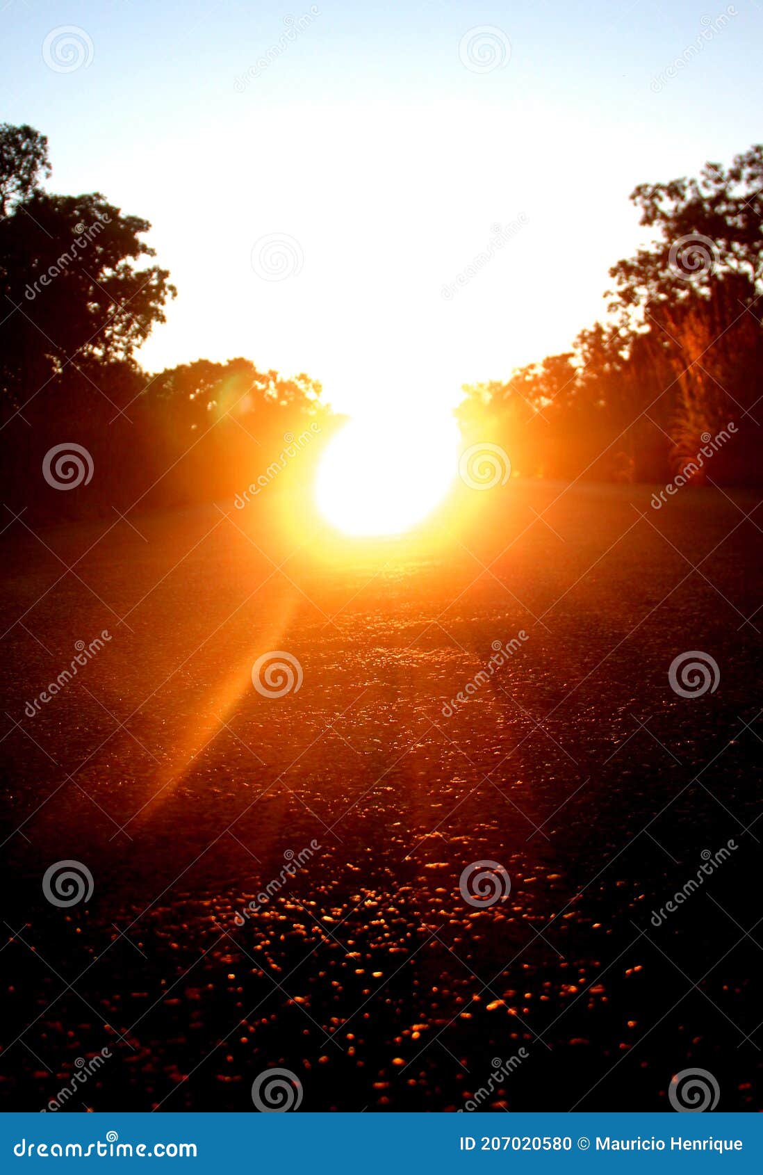 Infinite Highway Sunshine Minas Gerais Stock Photos - Free & Royalty ...