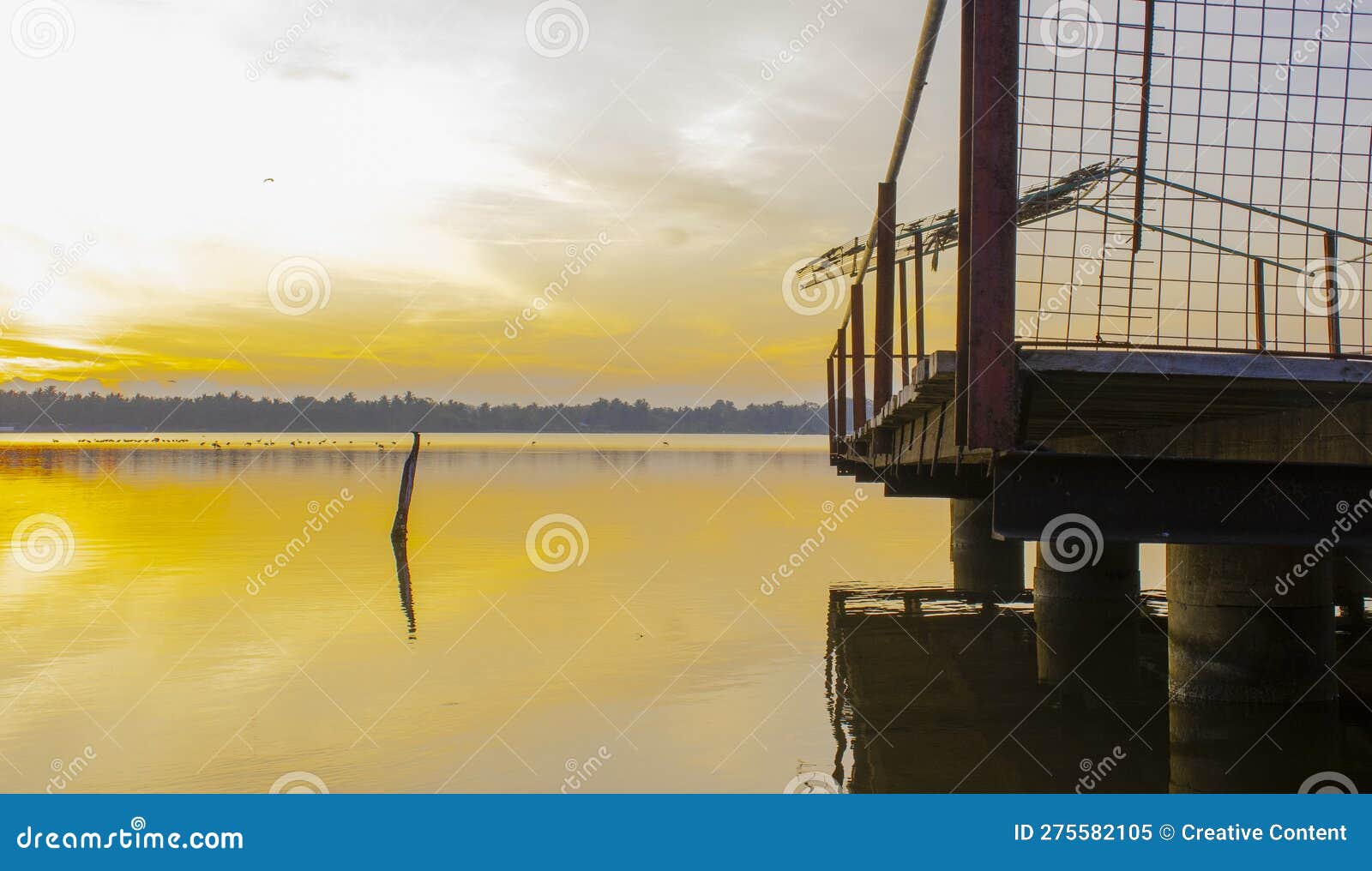 Lake sunshine stock image. Image of shore, shadow, dawn - 275582105