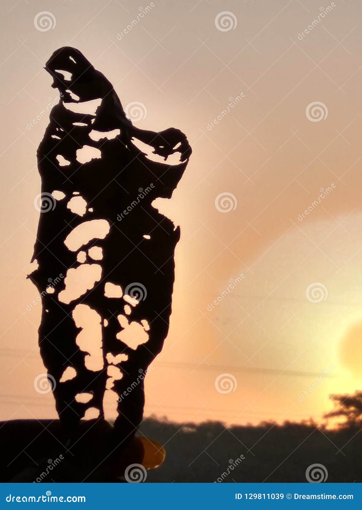 Sunshine editorial stock image. Image of shine, hope - 129811039