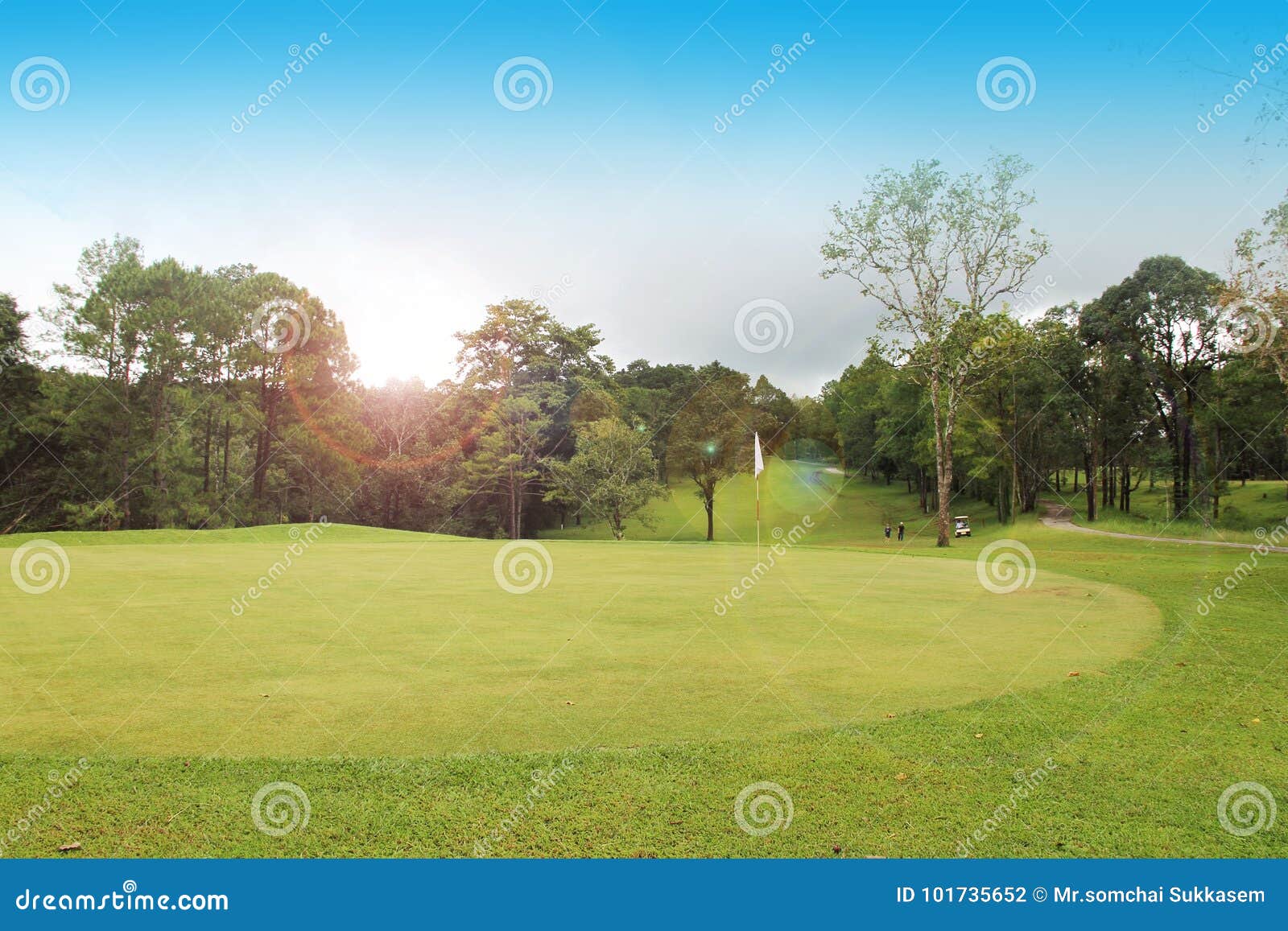 Sunshine in the Morning at Beautiful Golf Course Stock Photo - Image of ...