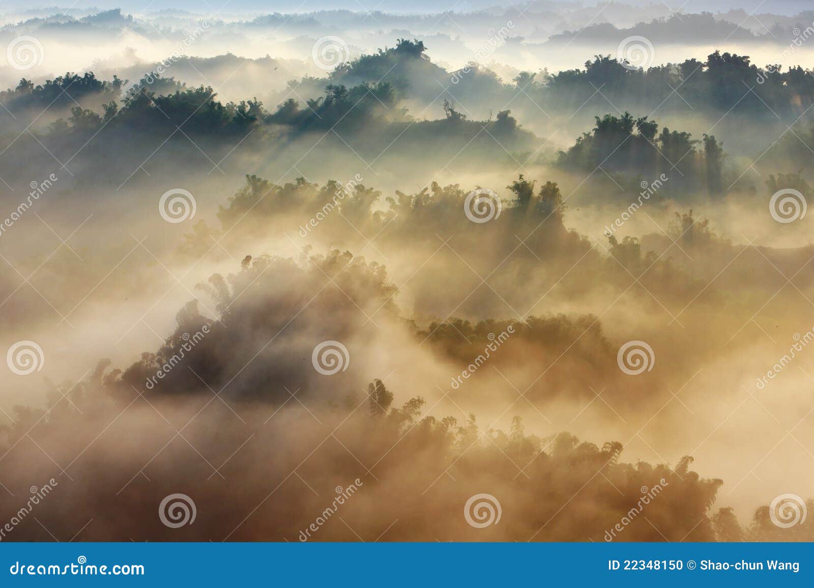 Sunshine on the Morning Mist with Bamboo and Hill Stock Photo - Image ...