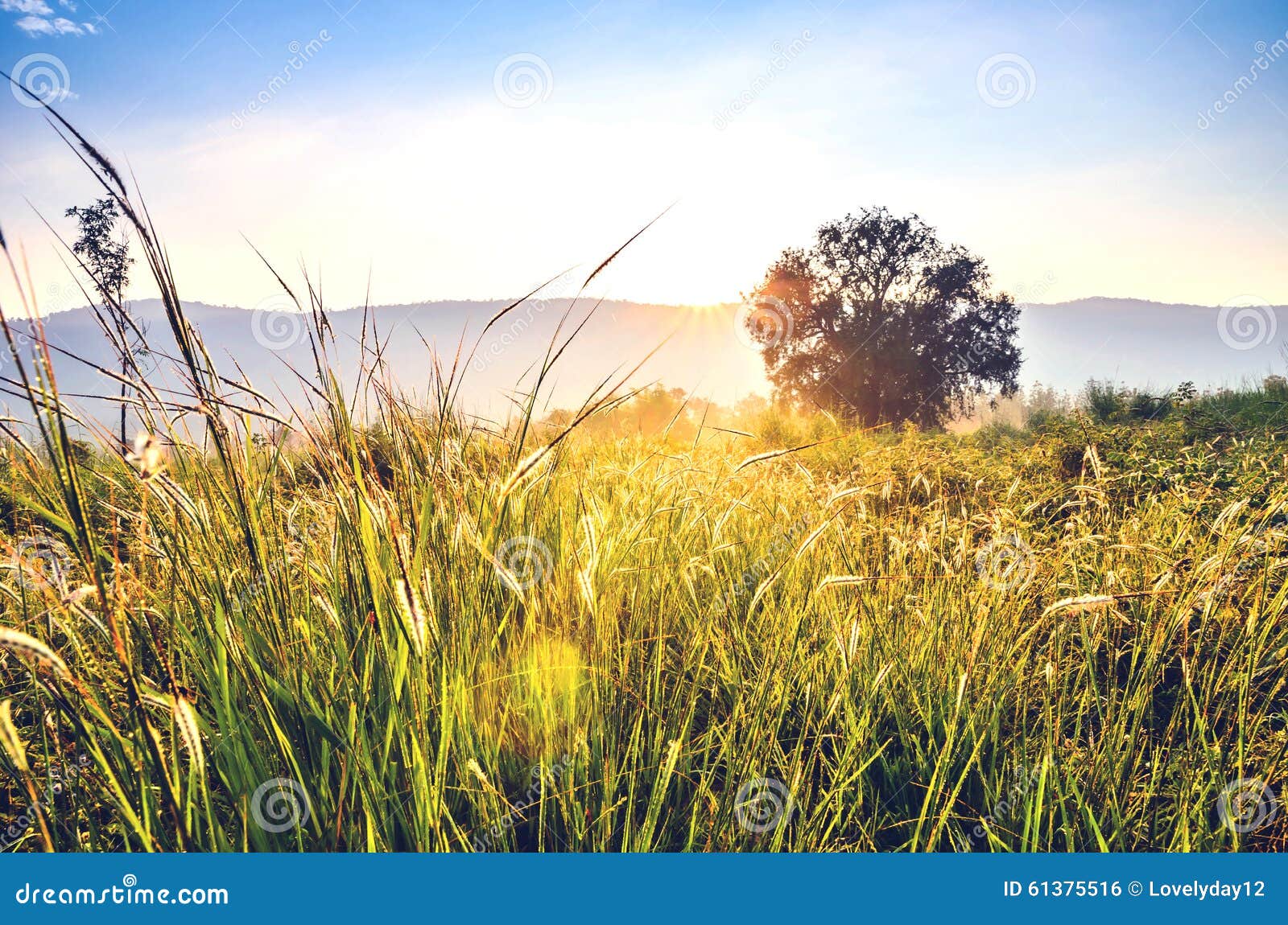 Sunshine in the Mountains Landscape Stock Photo - Image of land, dawn ...