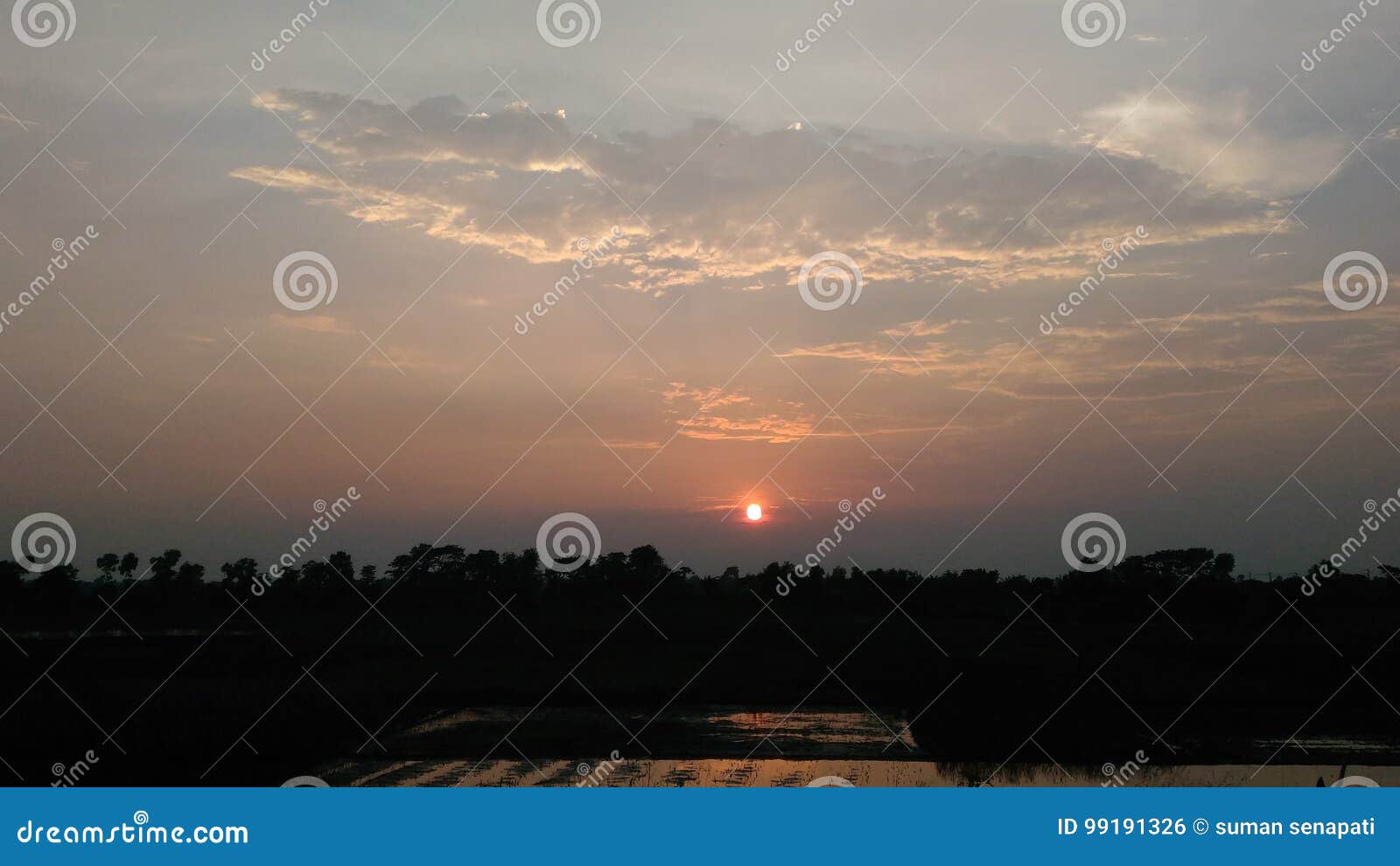 Sunshine stock photo. Image of multi, sunshine, color - 99191326