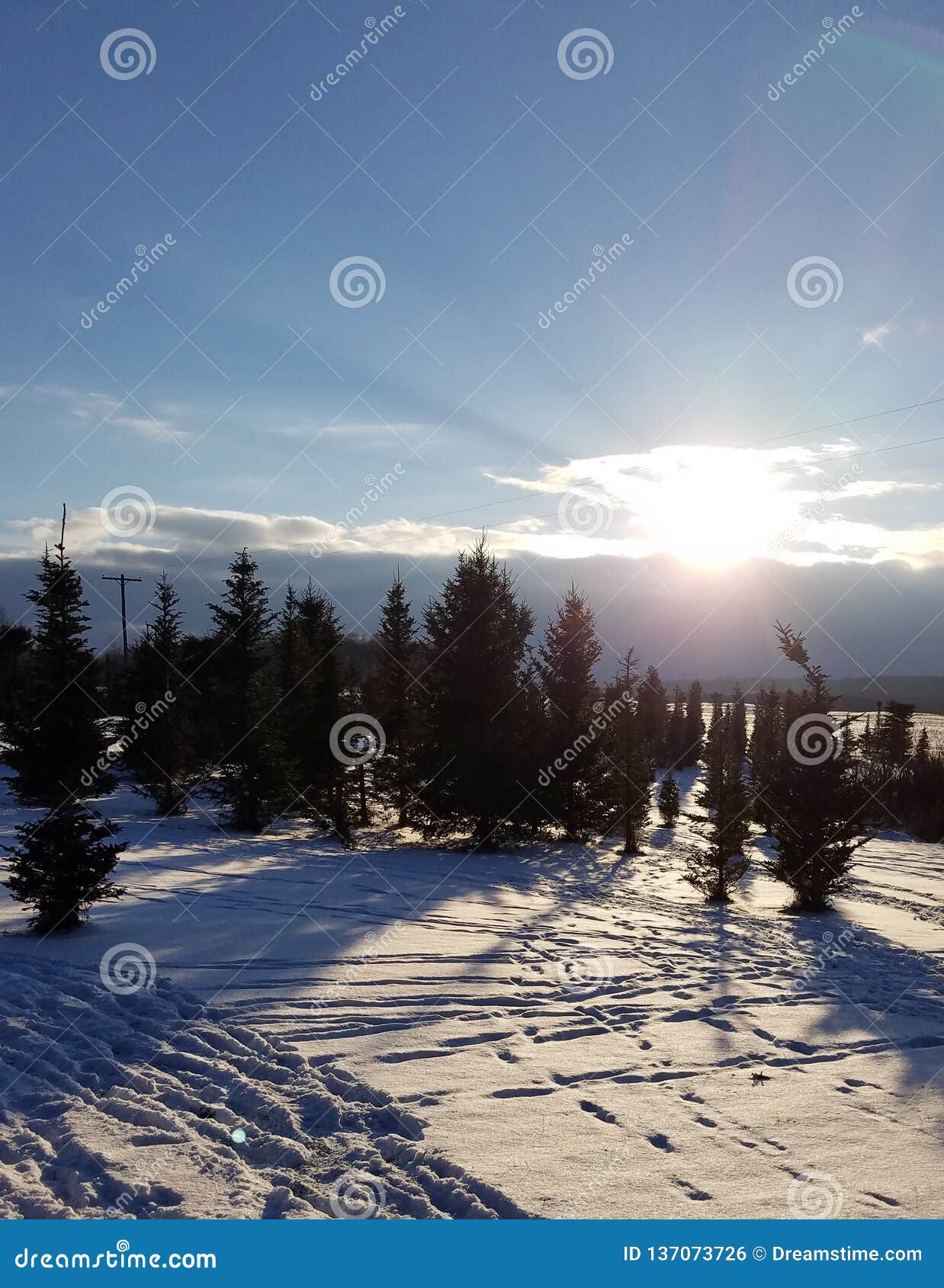 Sunny and snowy stock photo. Image of sunny, snowy, path - 137073726