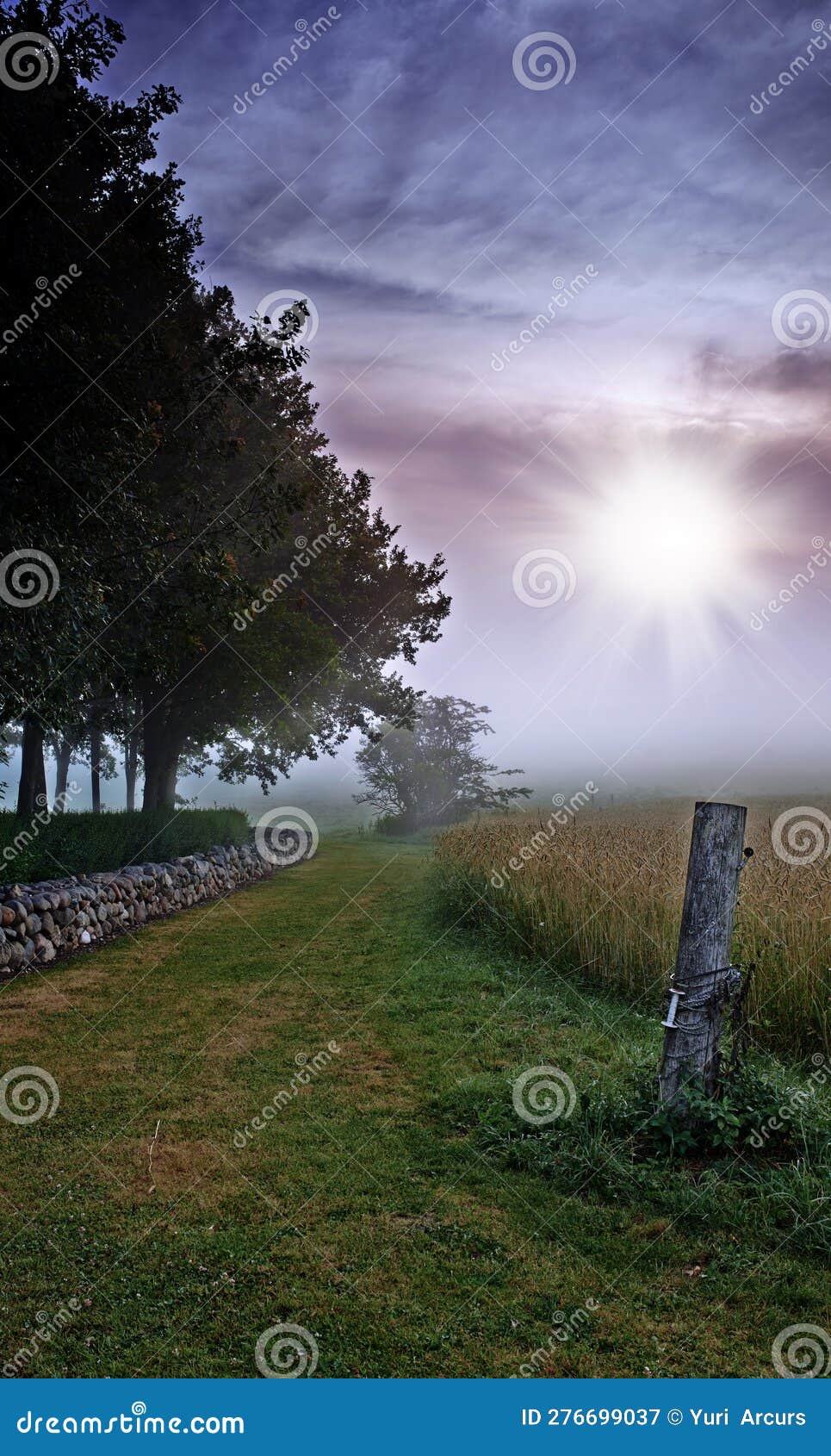 Sunshine Over a Fresh Meadow. a Meadow Lined with Trees with a Bright ...